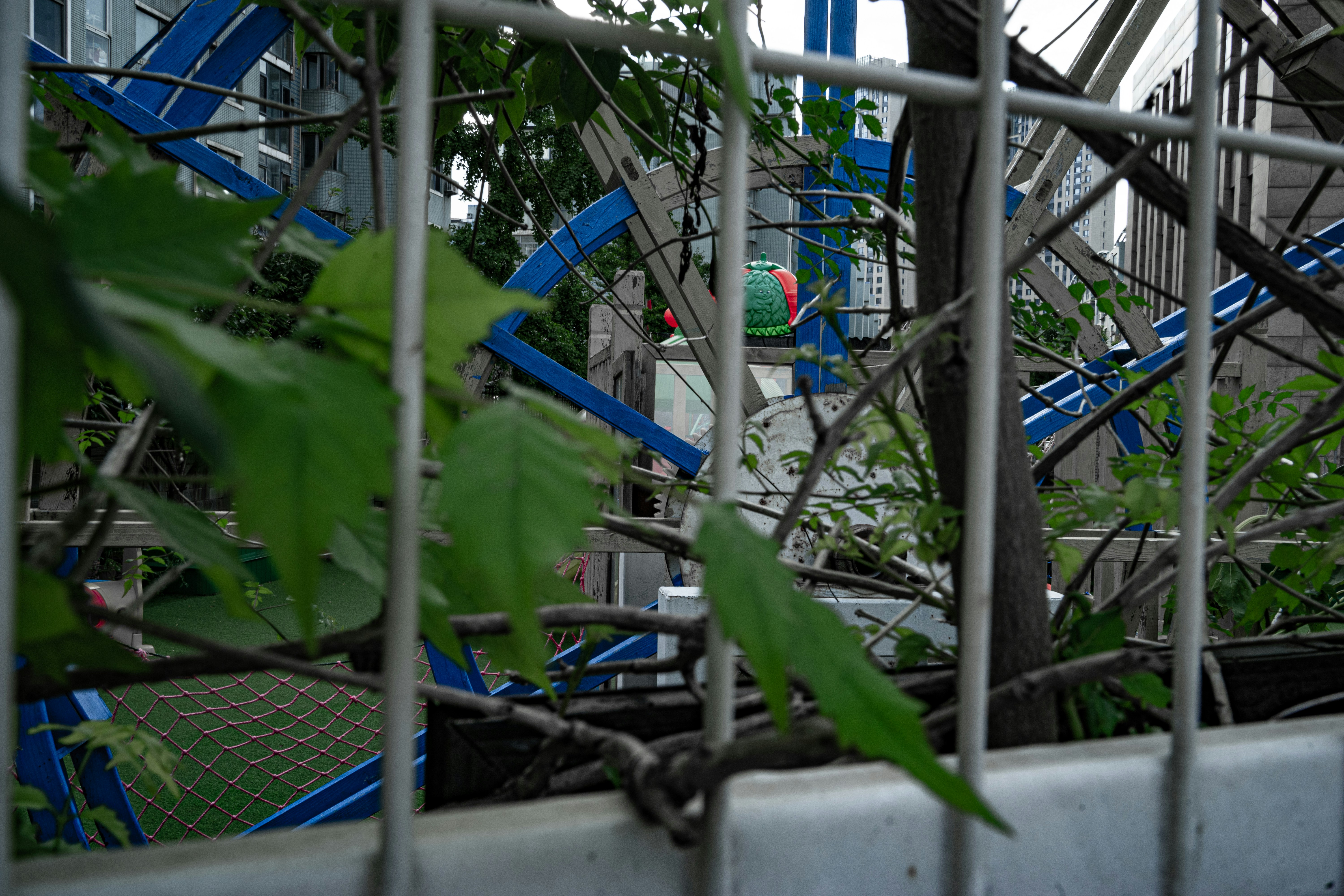 A view of a roller coaster through a fence photo – Free Green Image on ...