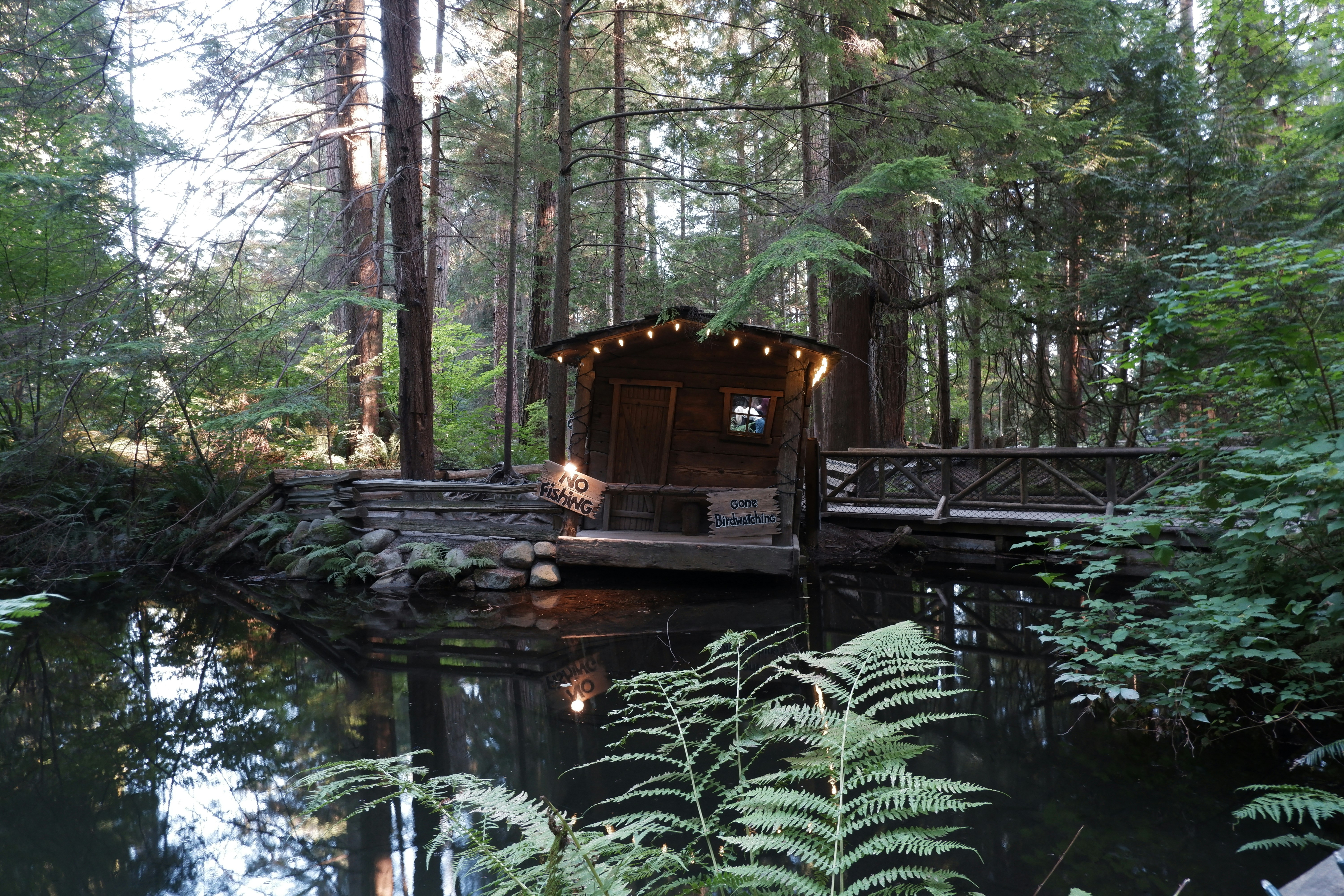 Lantern-lit Woodland Cabin Bridged Over a Calm Pond