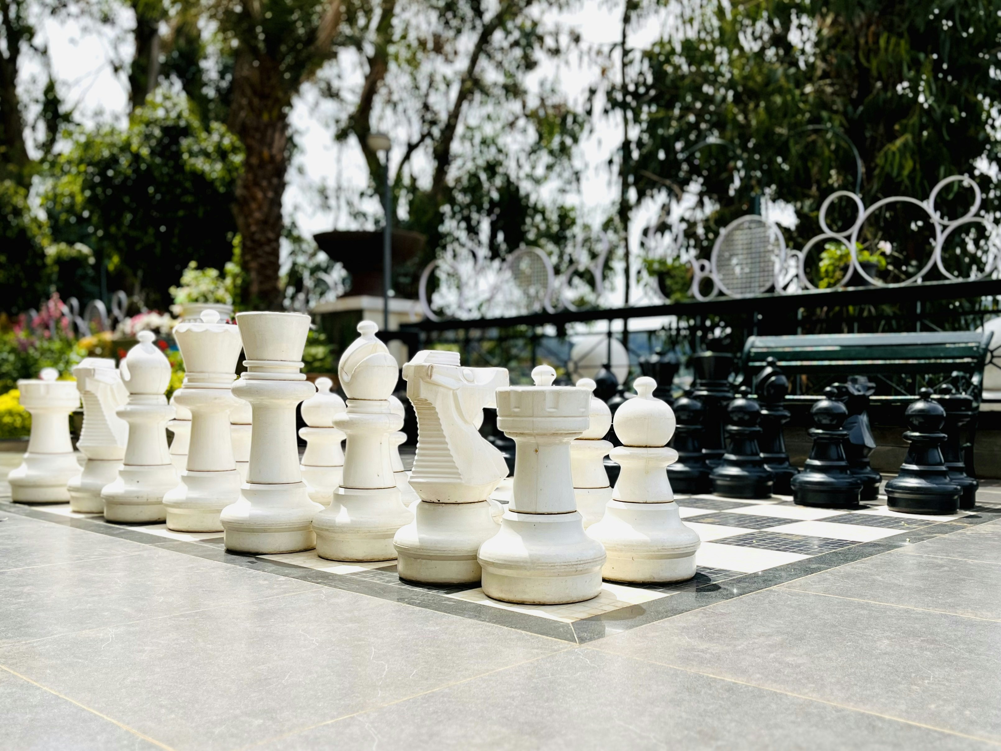 A chess board with white and black pieces photo – Free Ooty Image on ...