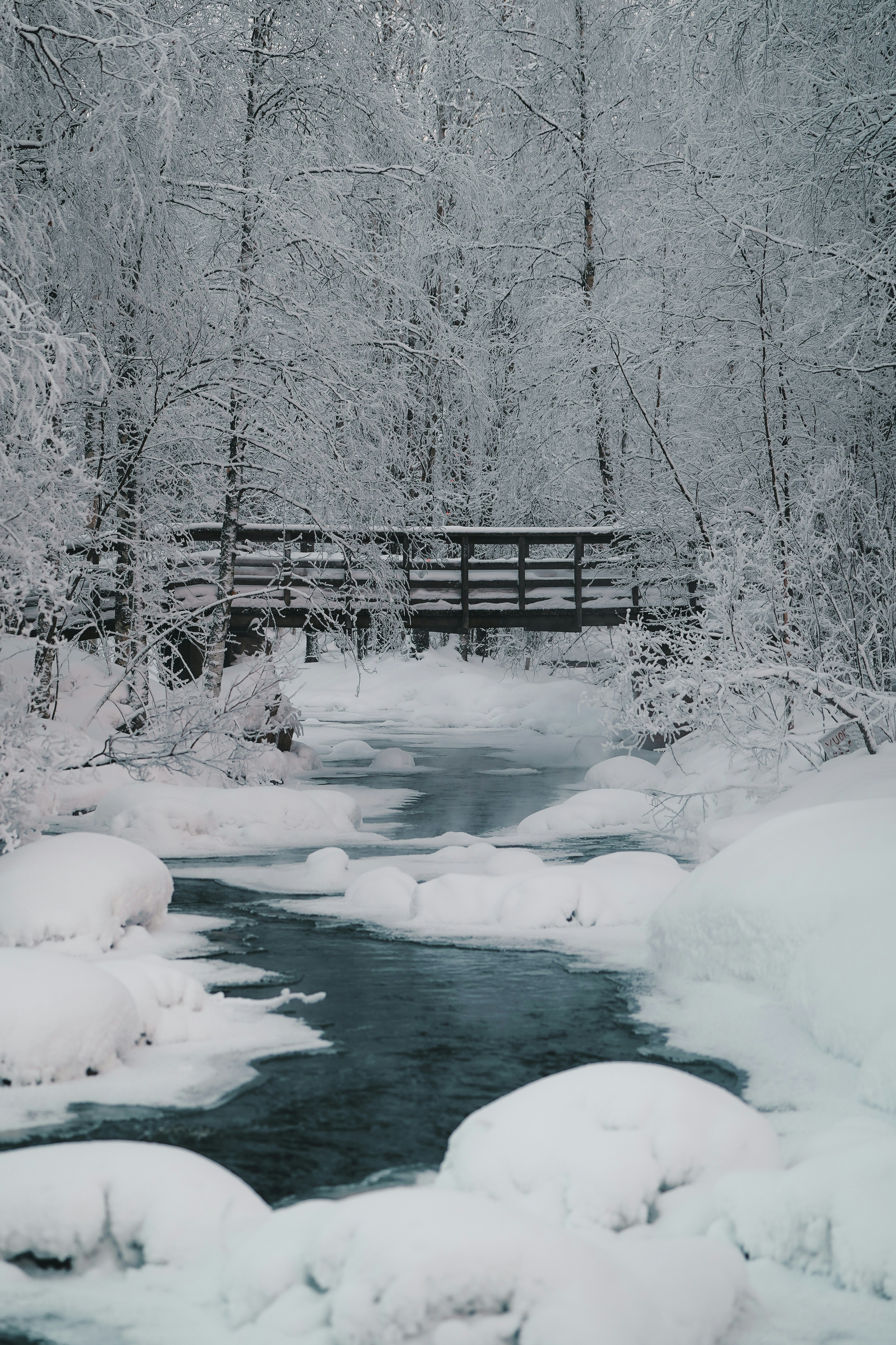 Photo by Kevin Charit with Sony Alpha 7C