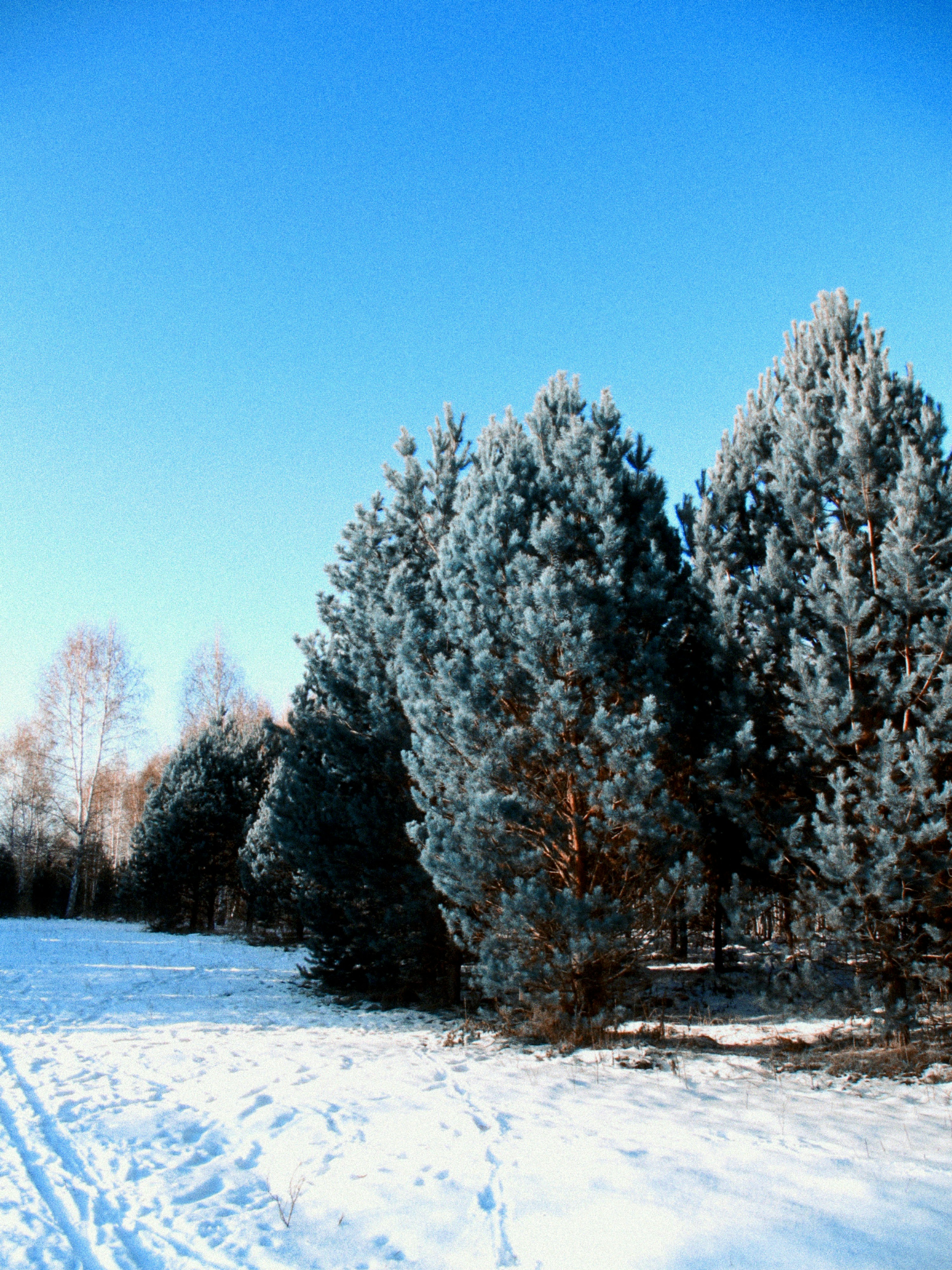 Photo by Egor Litvinov with Canon PowerShot SX200 IS