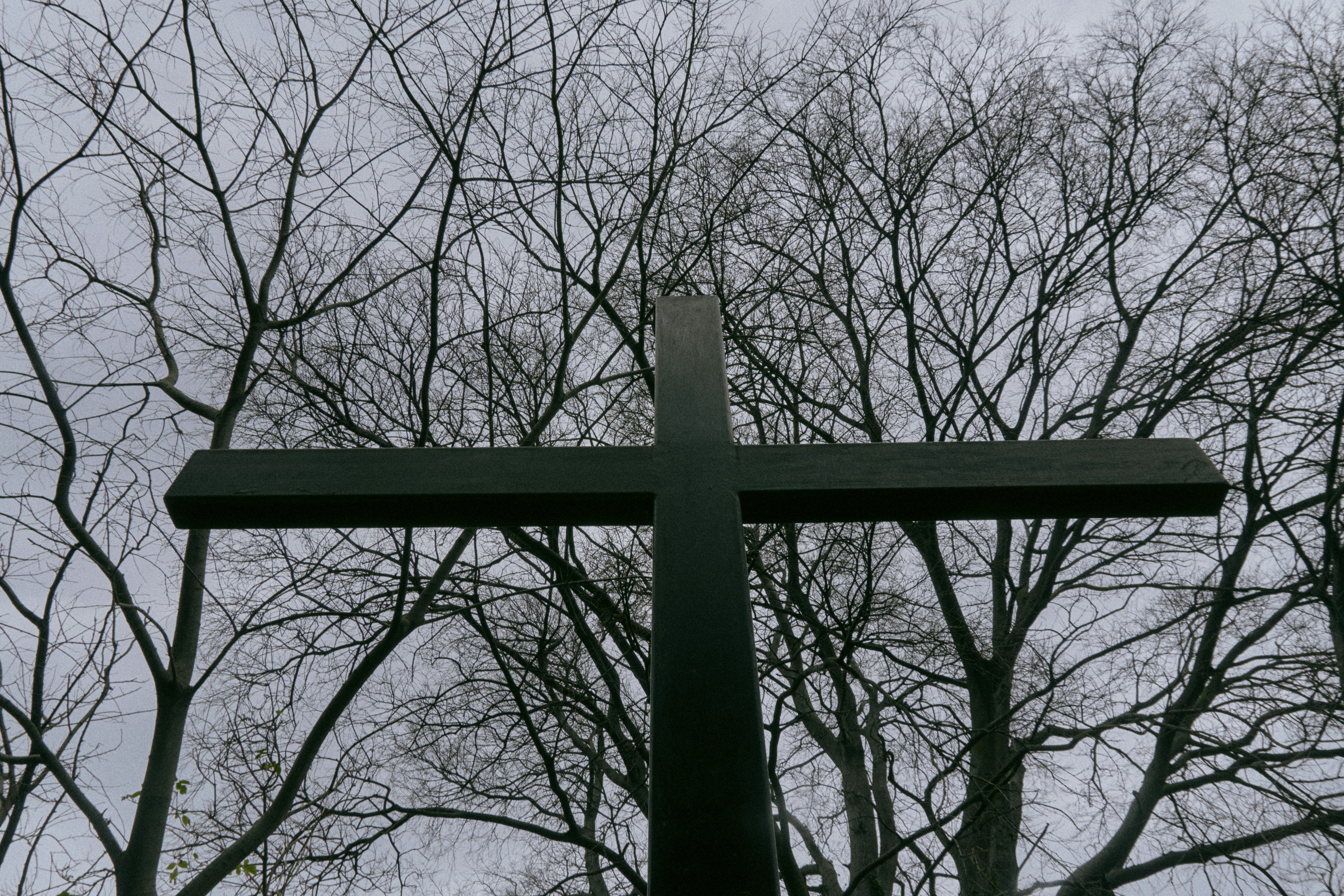 A wooden cross in front of some trees photo – Free Forest Image on Unsplash