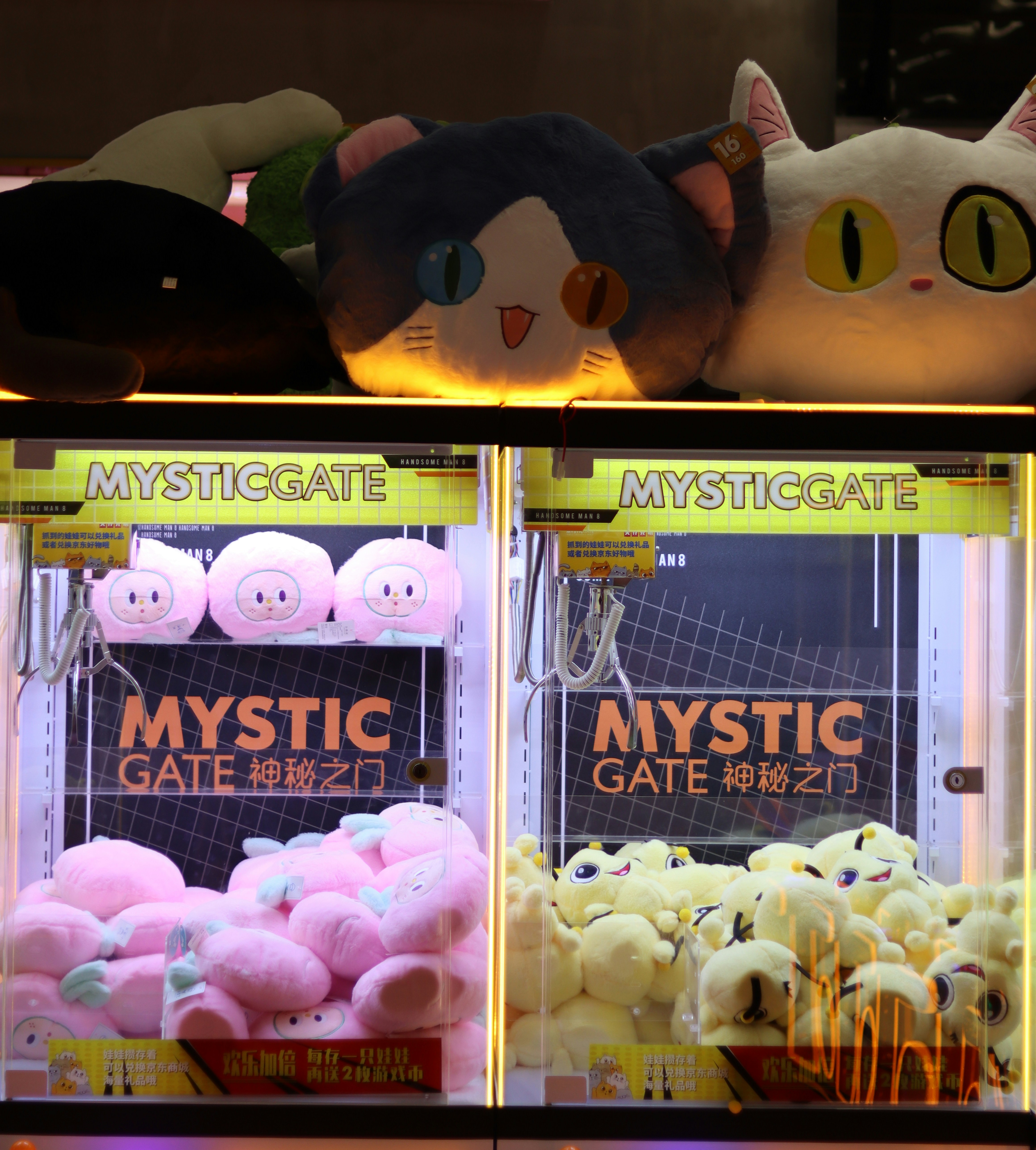 A display case filled with lots of stuffed animals photo – Free Soft ...