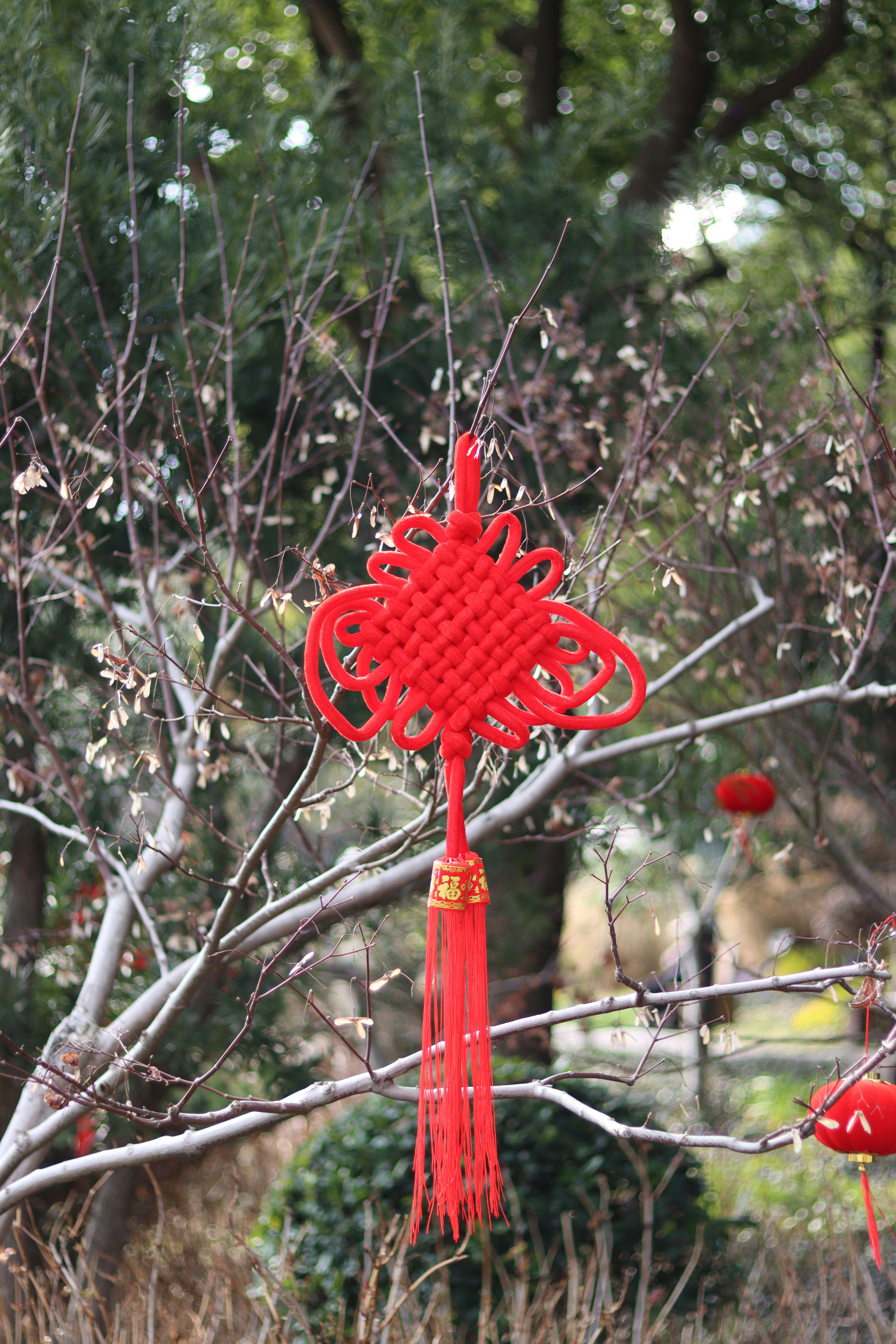 Scarlet Chinese Knot Pendant Dangles Amid Bare Branches in a Quiet Garden
