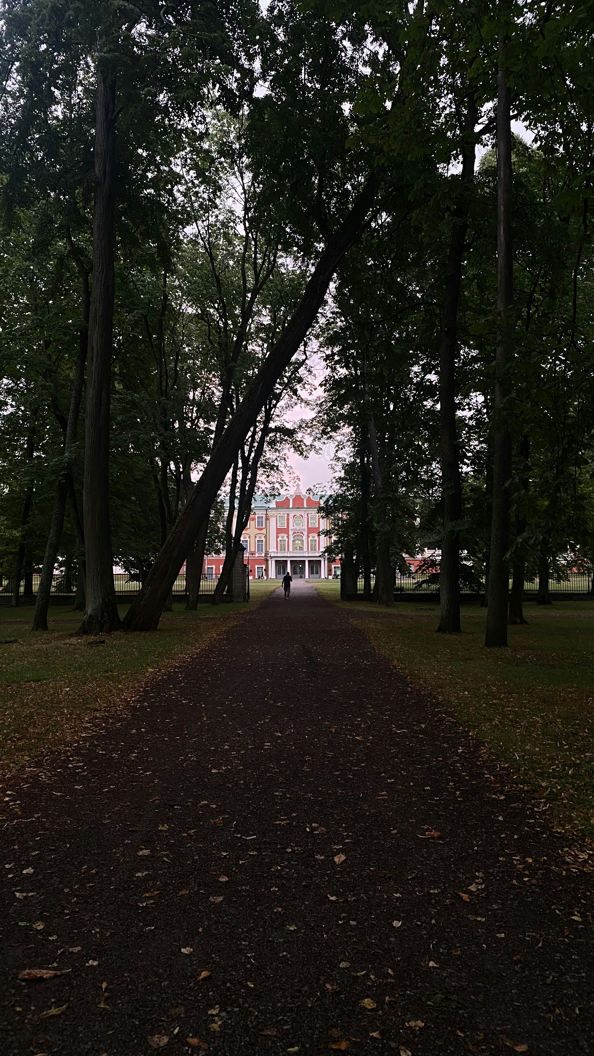 A photograph of a path running through the center of a park, flanked by a row of tall, leafy trees.