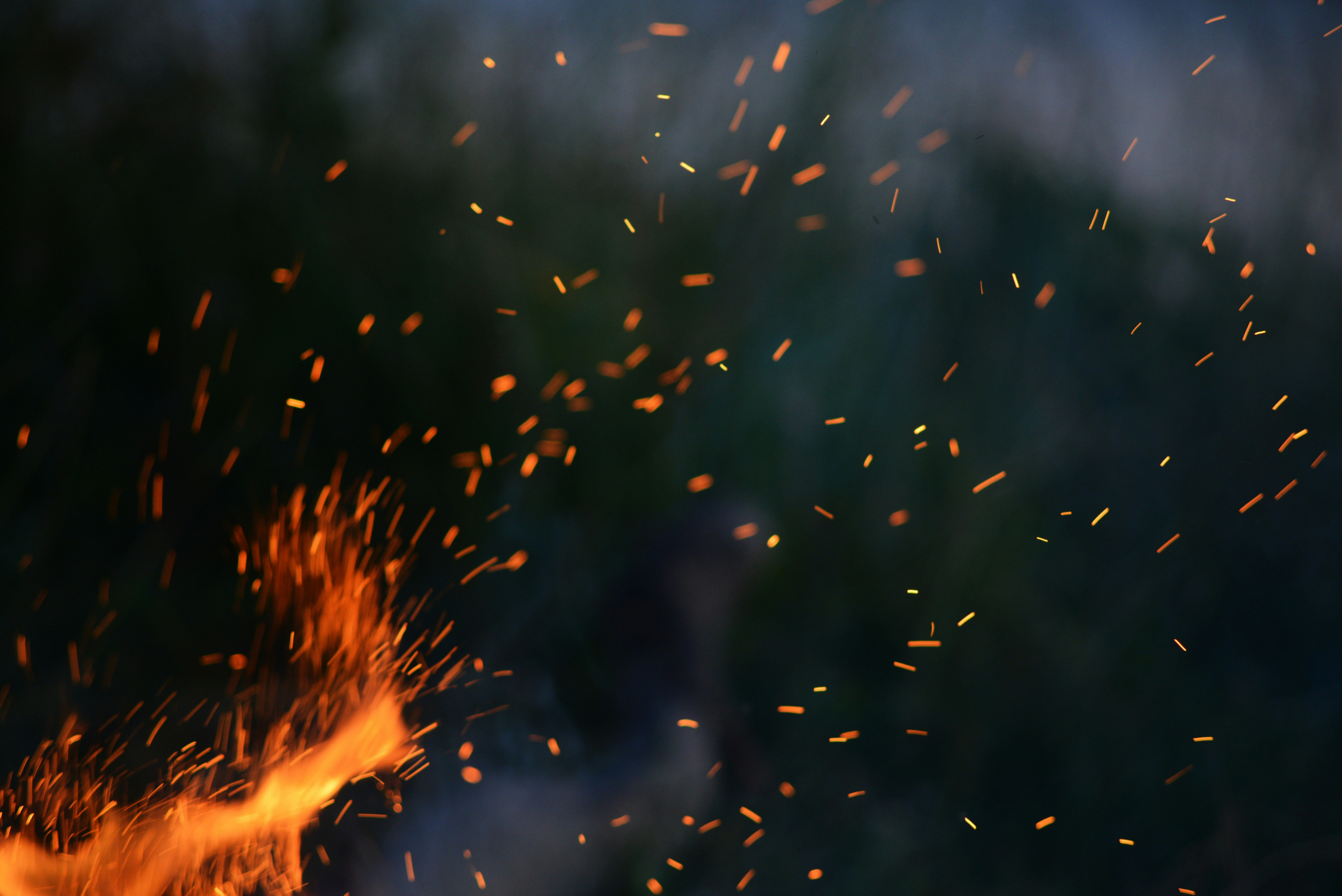 Photo by Liana S with Nikon D600