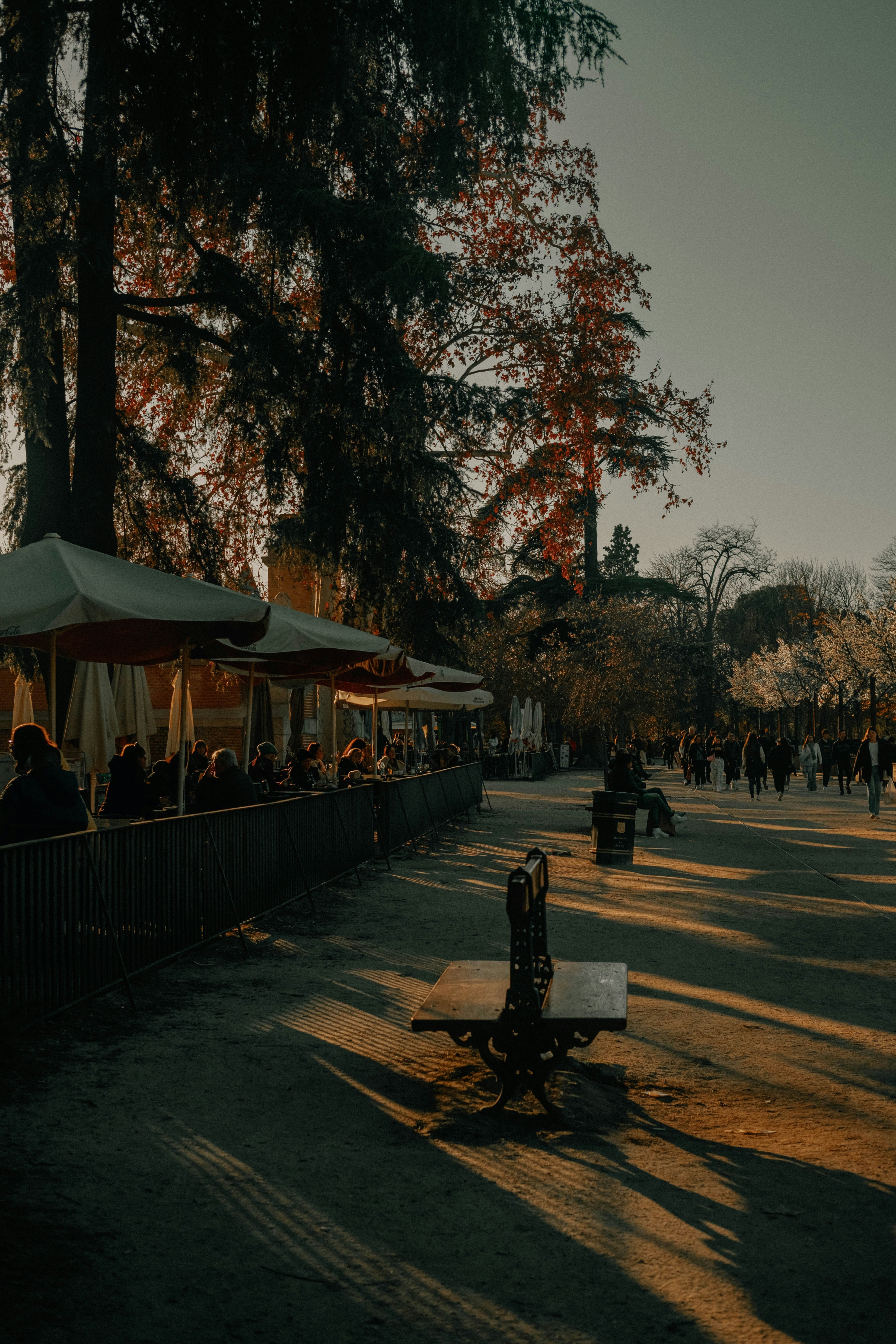 Golden Hour by the Riverside Café