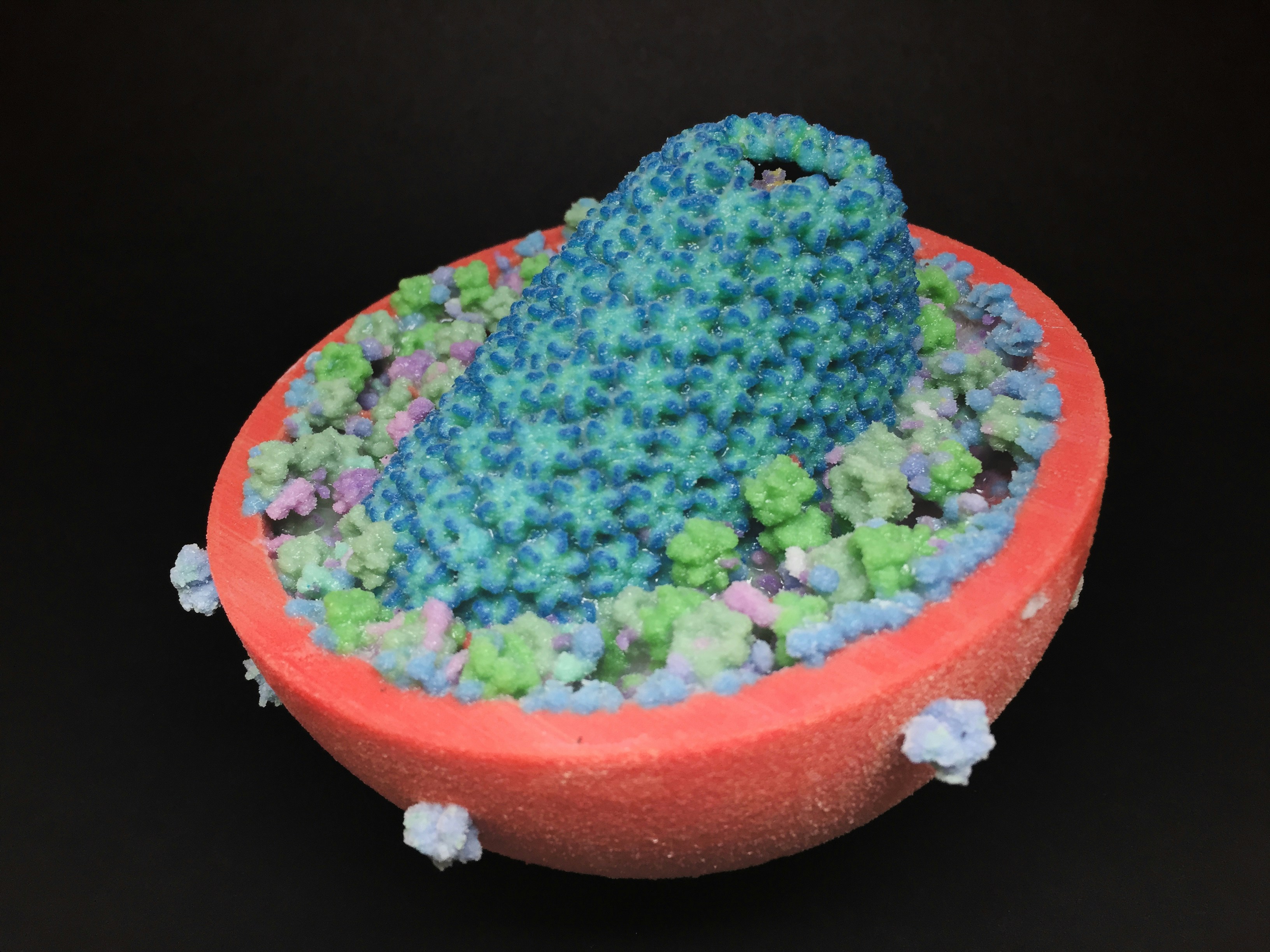 3D Model of HIV 3D-printed model of HIV. The model has been cut in half to expose the interior of the virion. Most of the viral capsid has been left intact, and a few subunits have been removed to expose the capsid interior. Credit: NIAID | a bowl filled with blue, green, and pink sprinkles