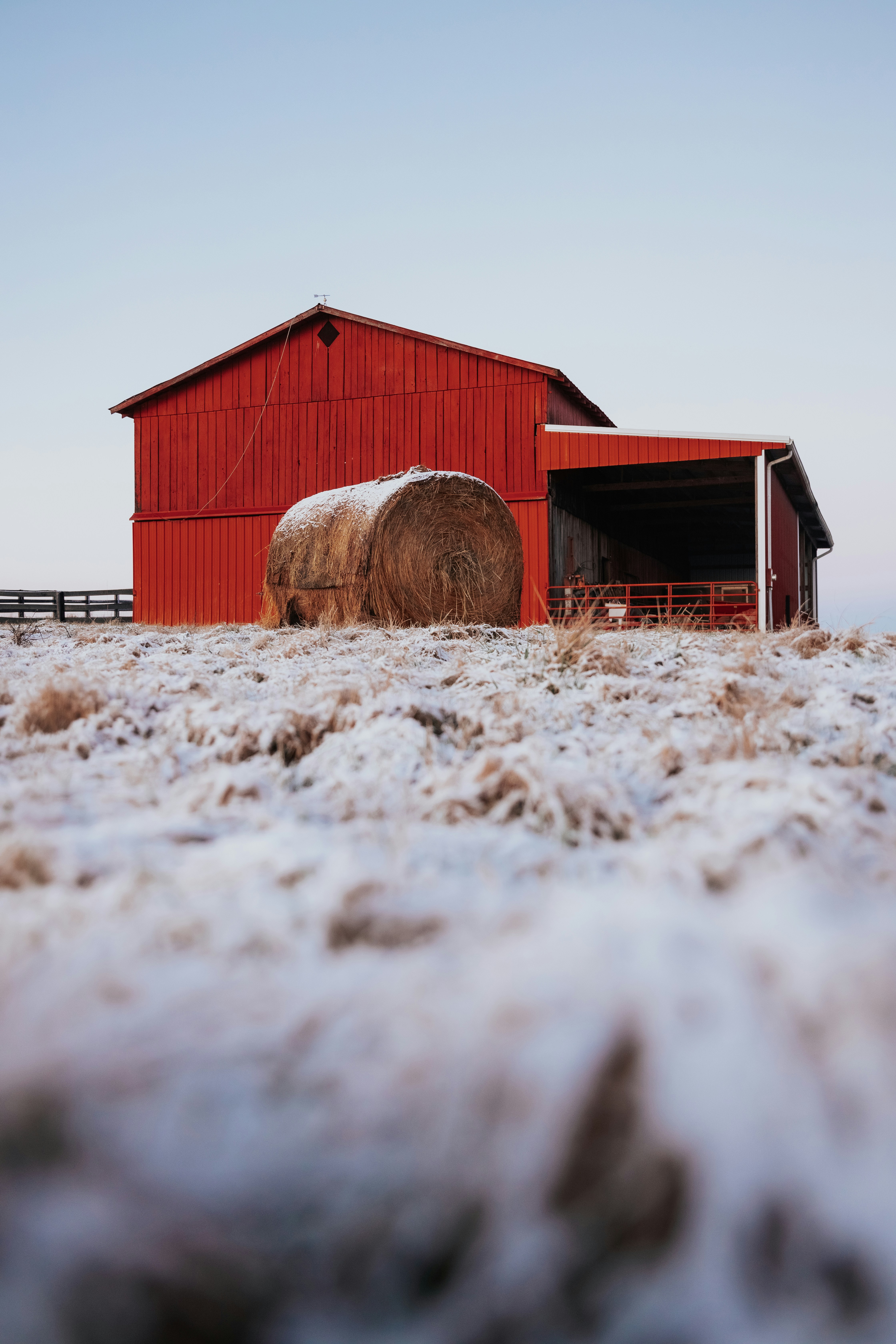 Photo by Devin Avery with Canon EOS R