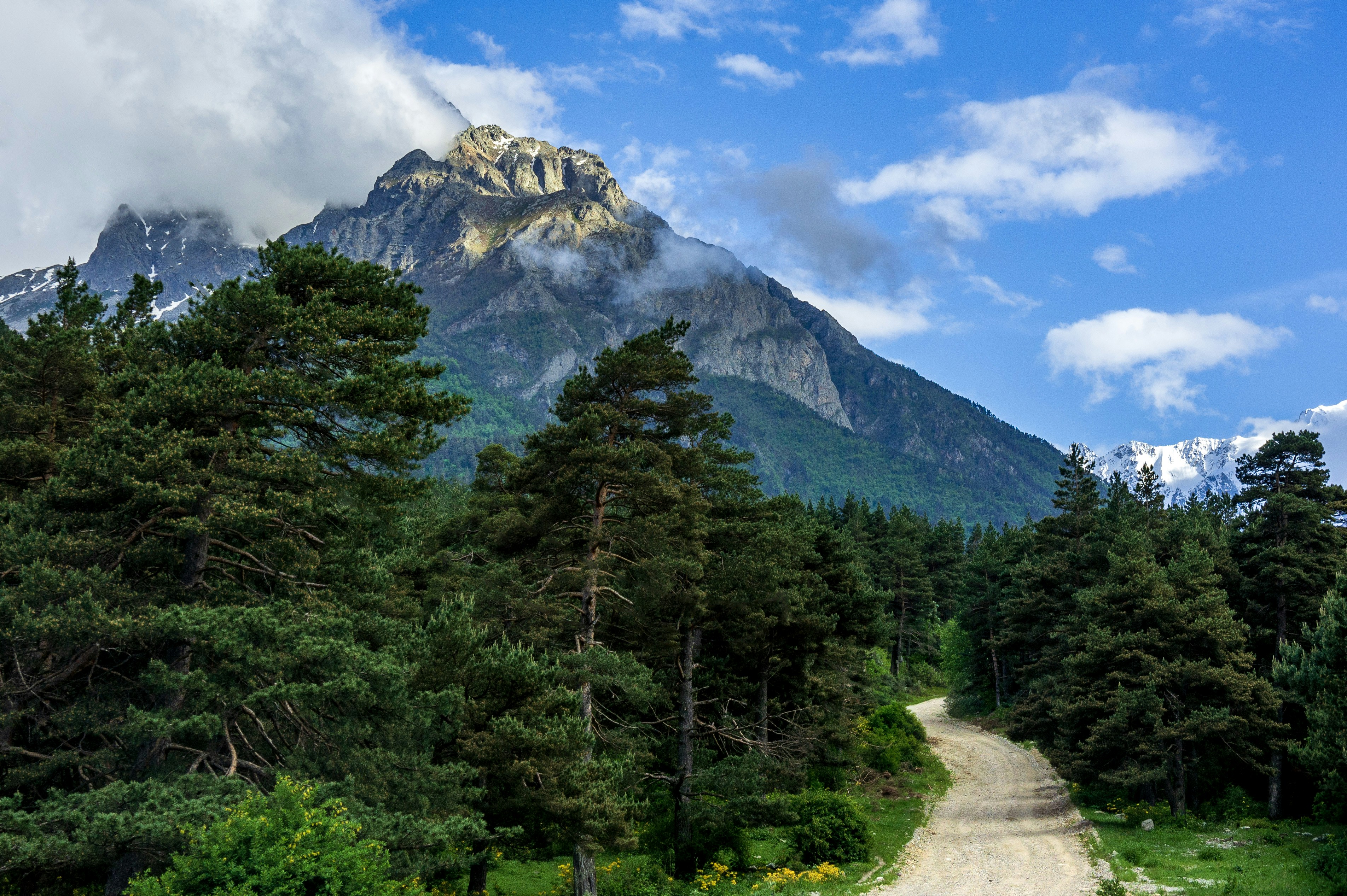 Trail to the Granite Crest: Pines, Path, and a Towering Peak