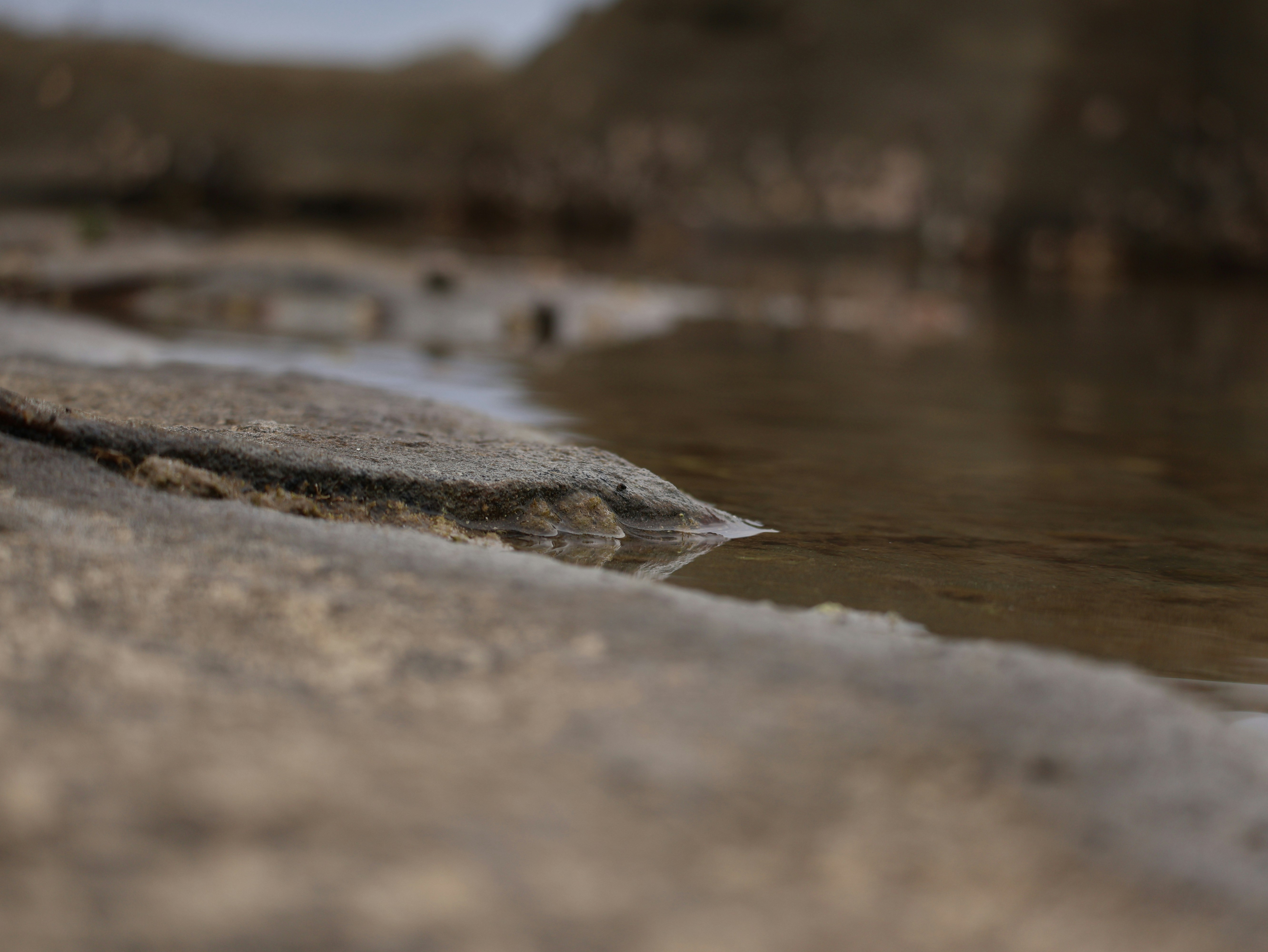 Whispers of the Water's Edge