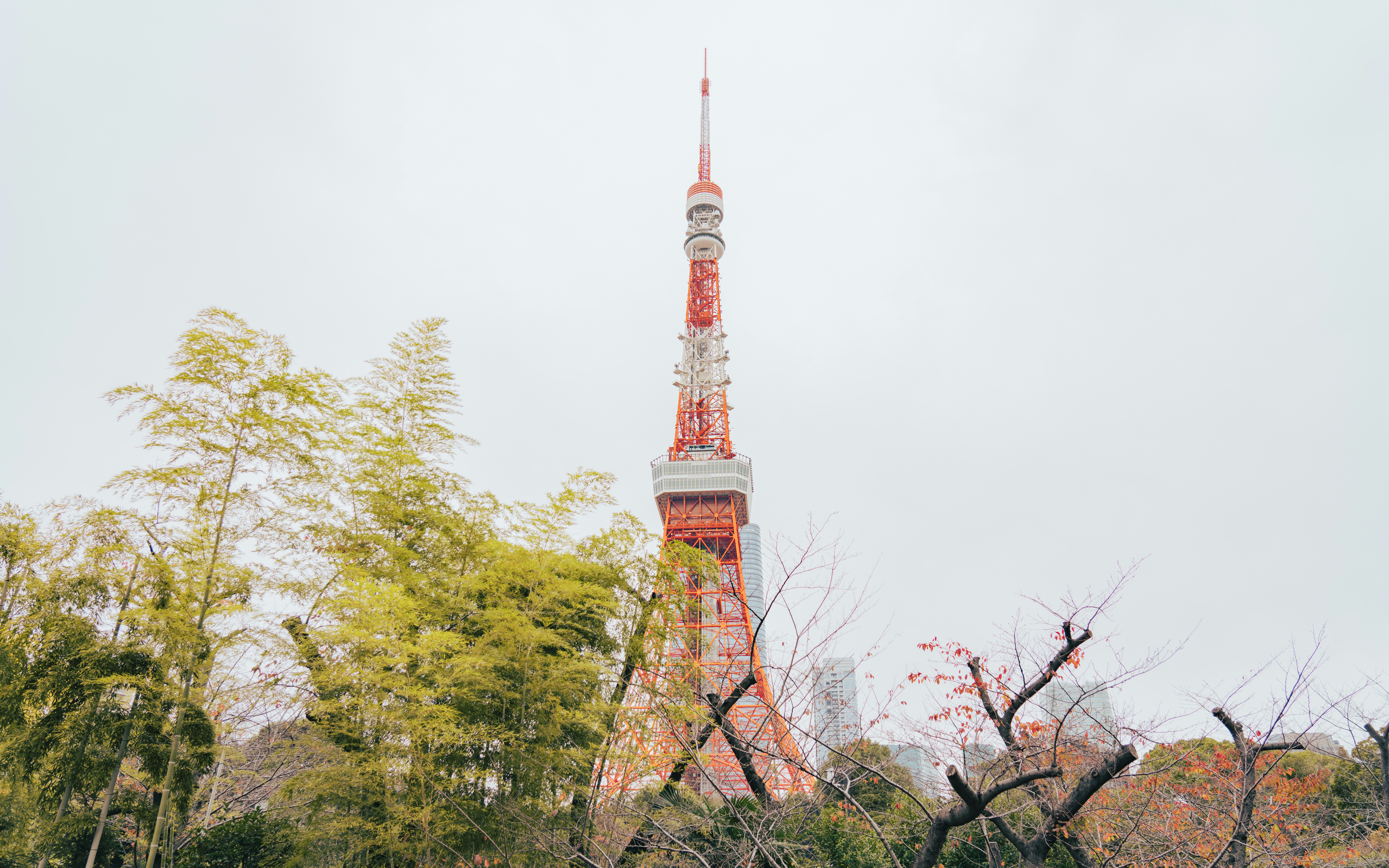 A red and white tower in the middle of trees photo – Free Tokyo Image ...