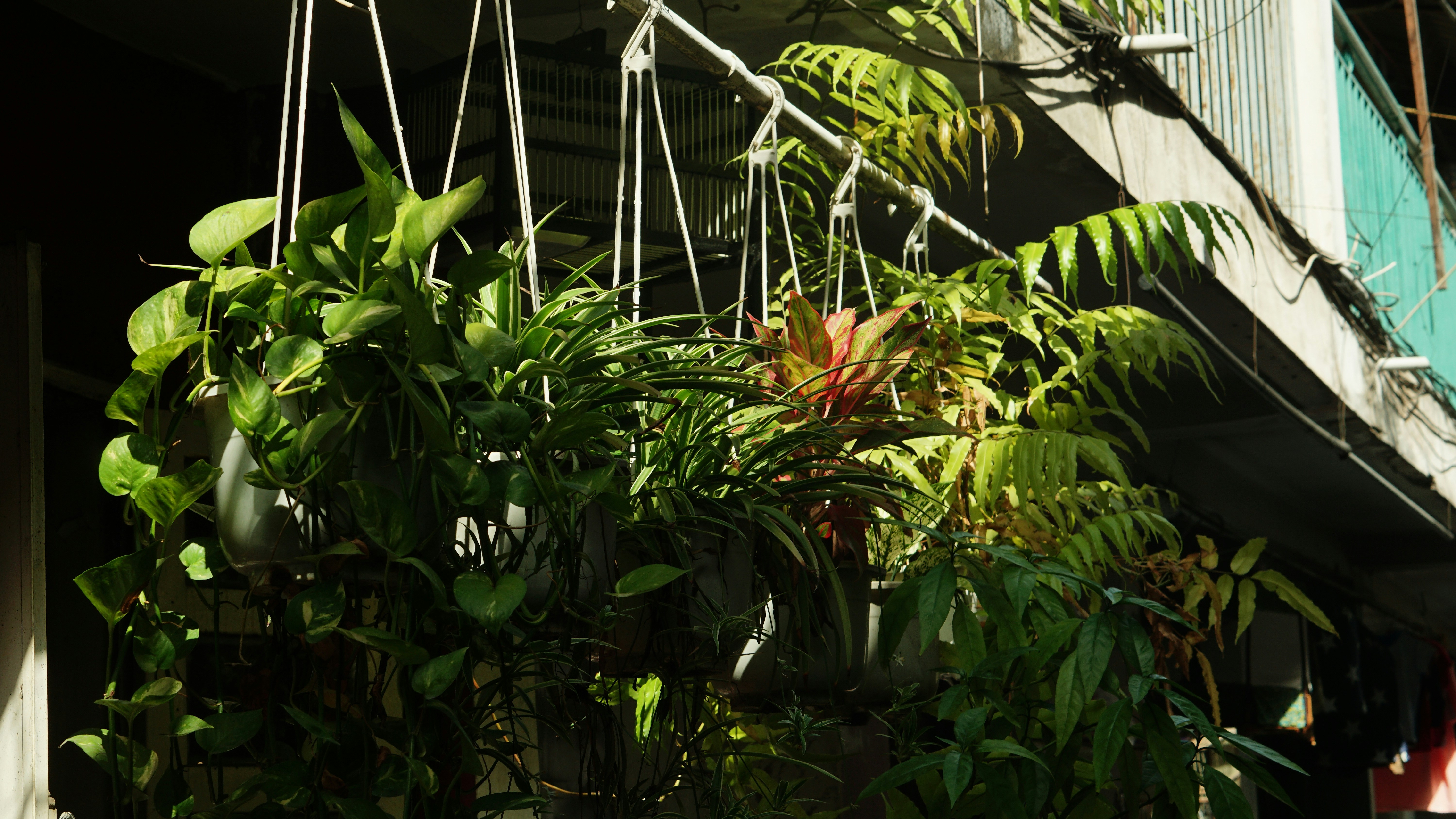 Photo by Duy Võ with Sony Alpha 6000