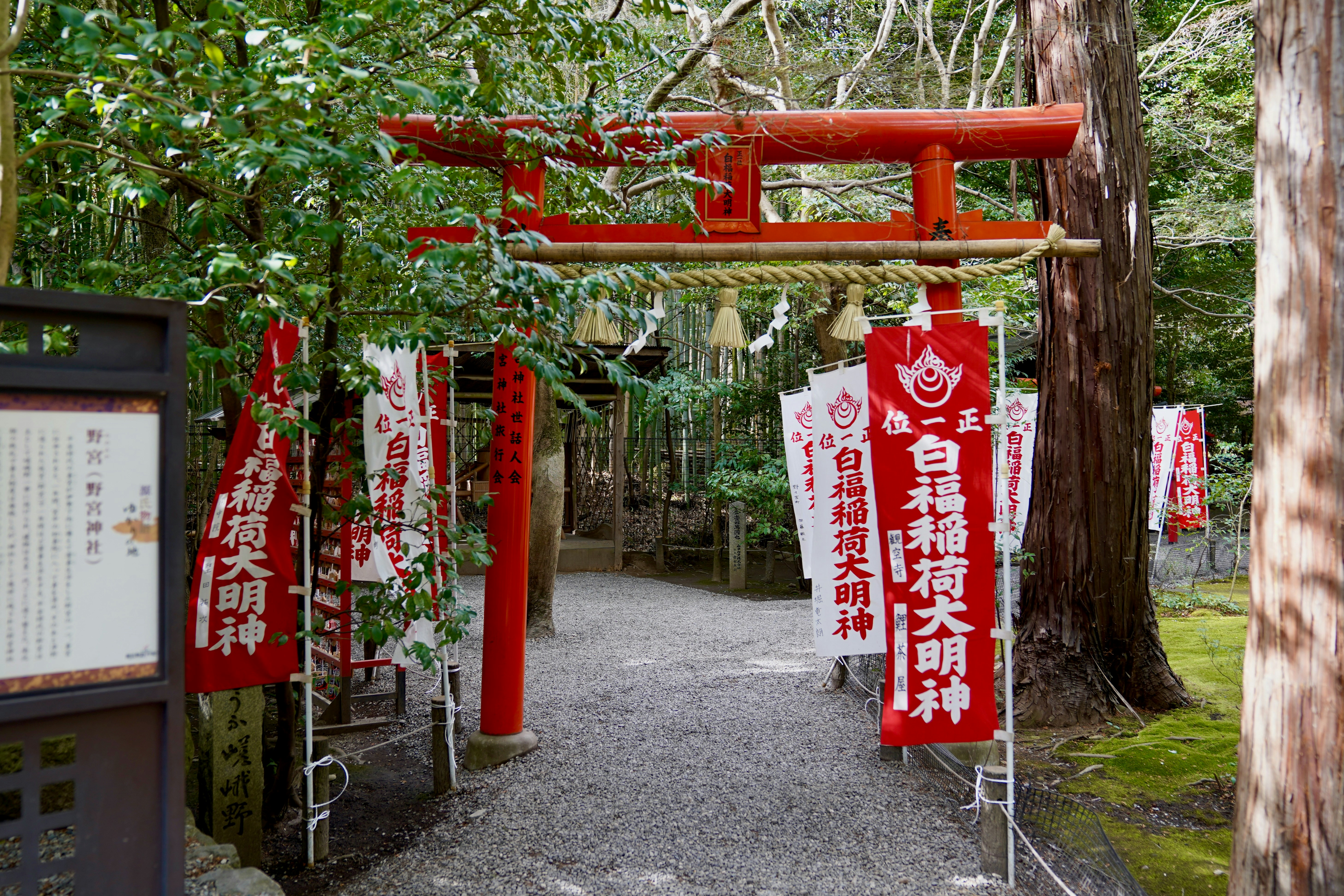 A path in a park lined with red banners photo – Free Kyoto Image on ...