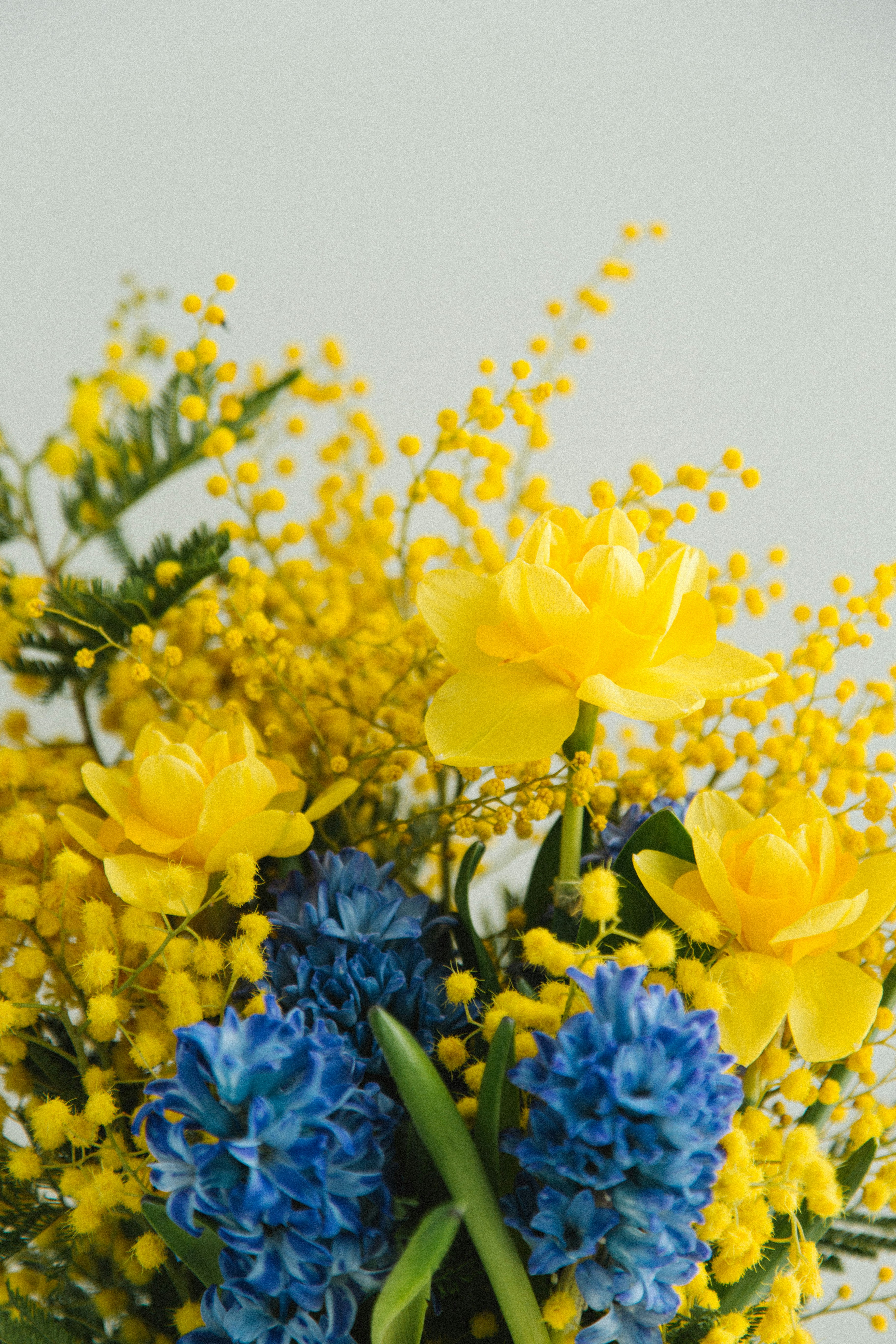 Sunlit Mimosa and Indigo Hyacinth Bouquet