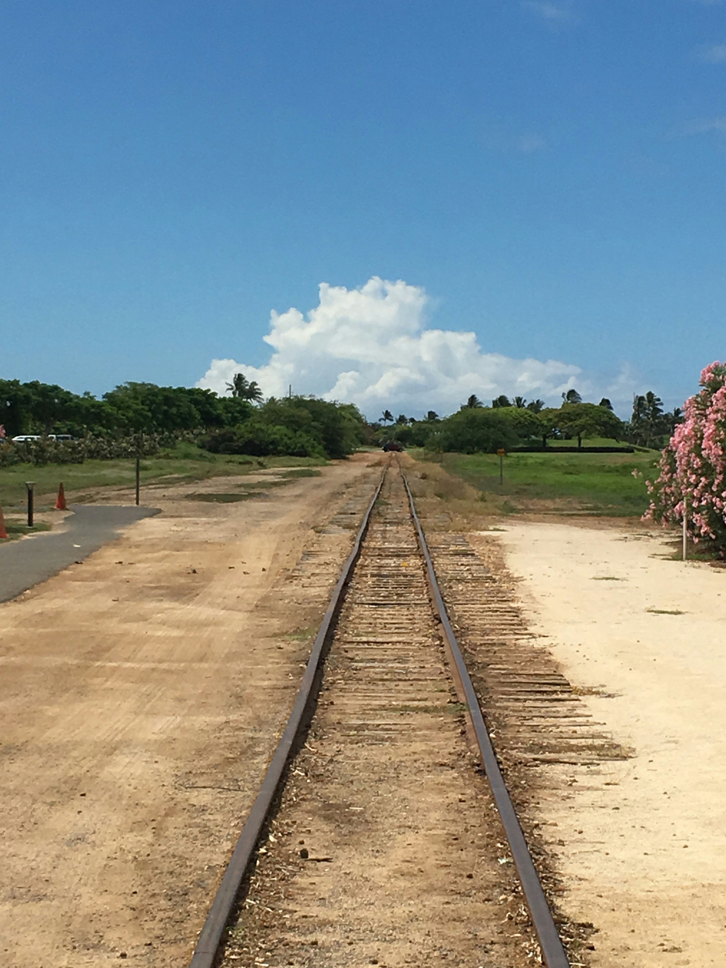 Rails Toward a Palm-Fringed Horizon