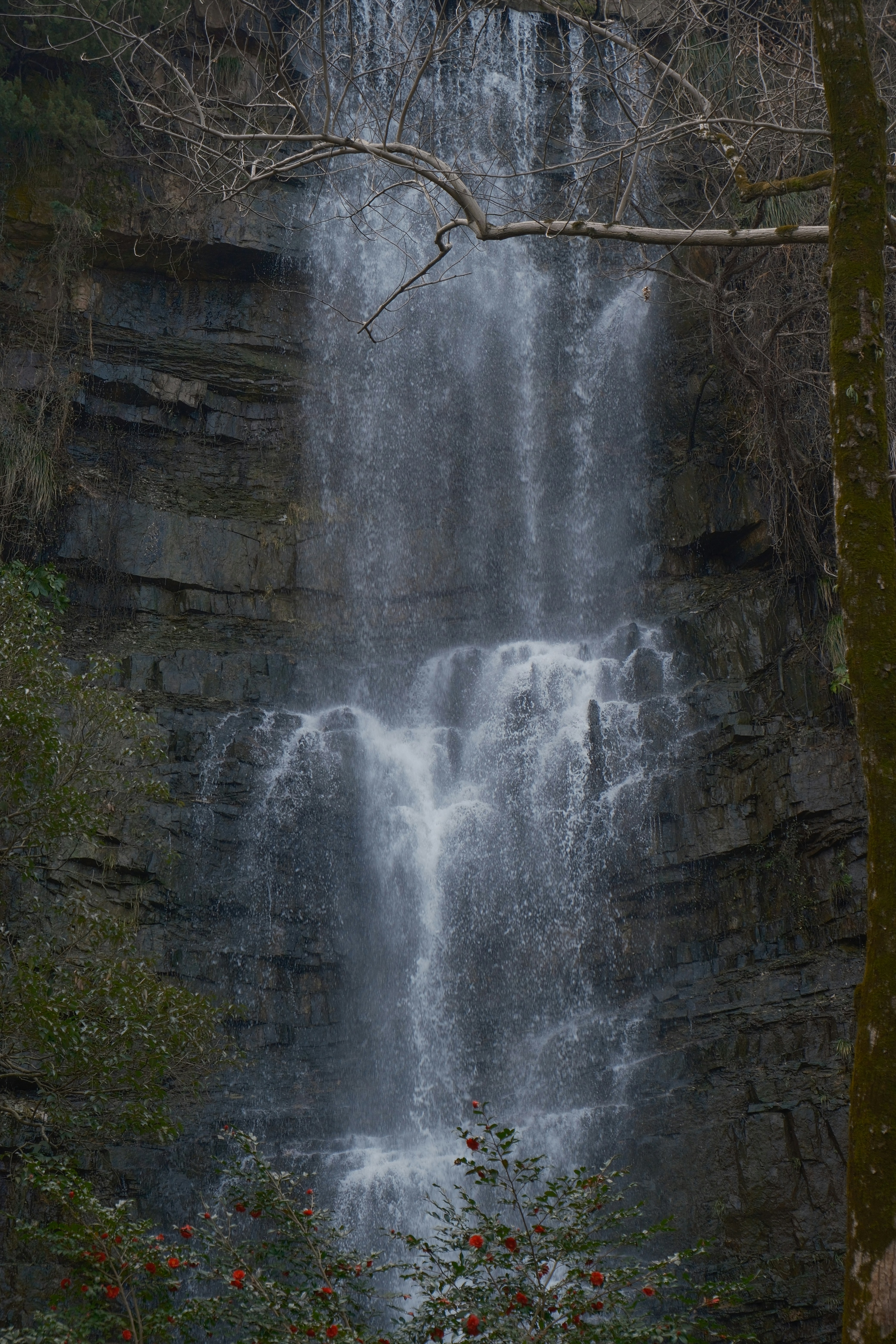 Photo by nathan Q with Fujifilm X-S20