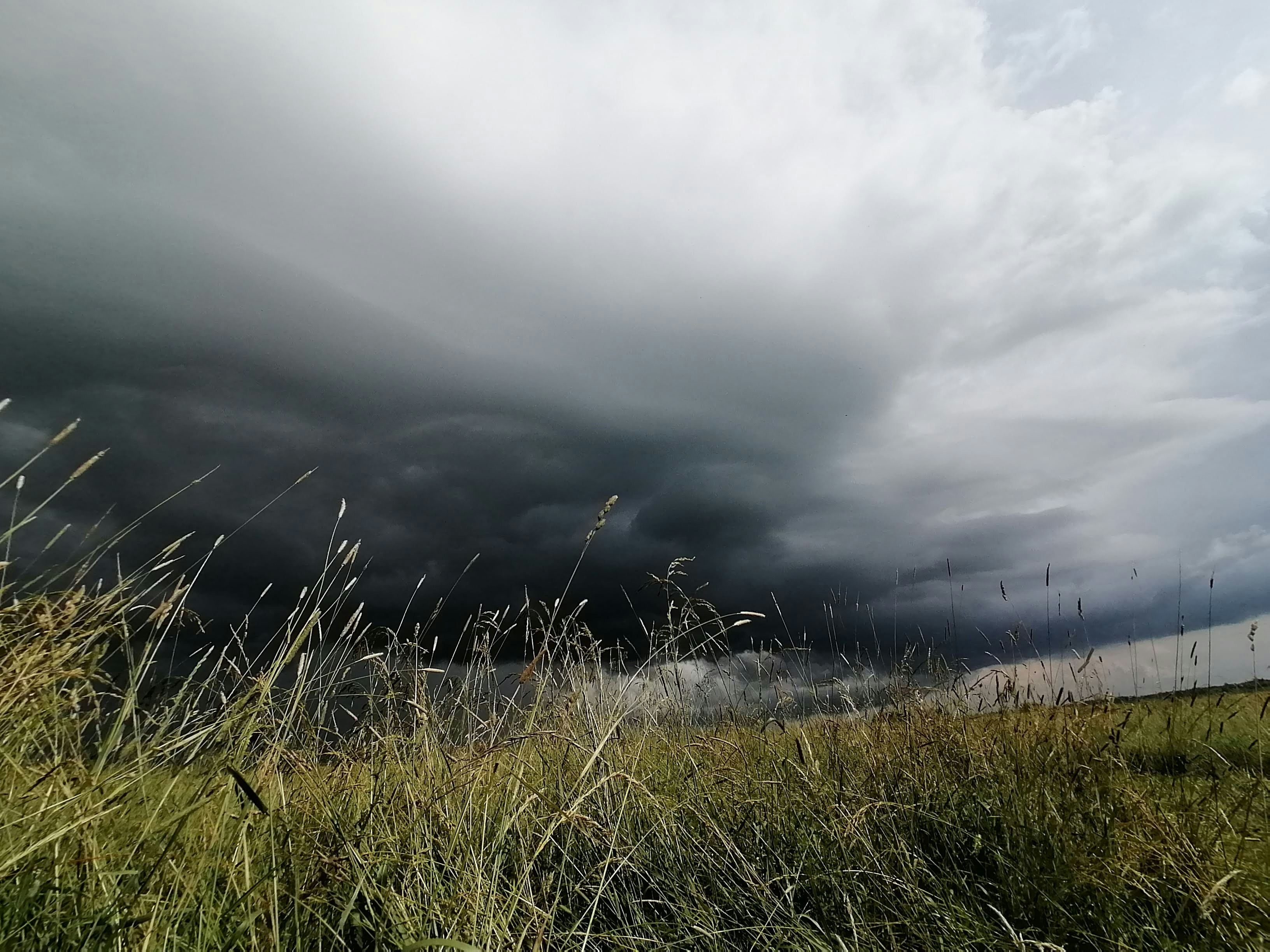 Whispers of an Impending Storm