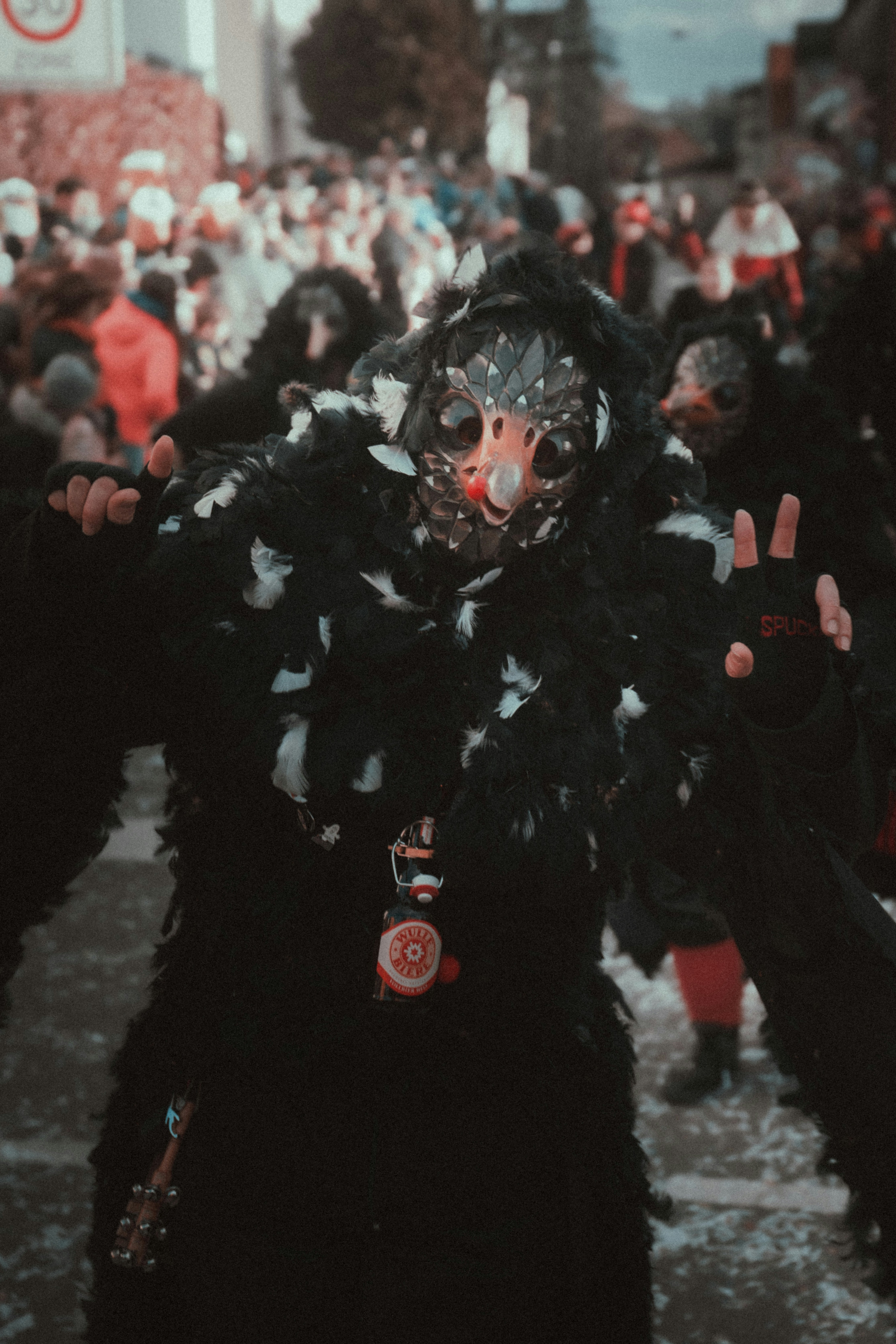 Feathered Mask in the Carnival Crowd