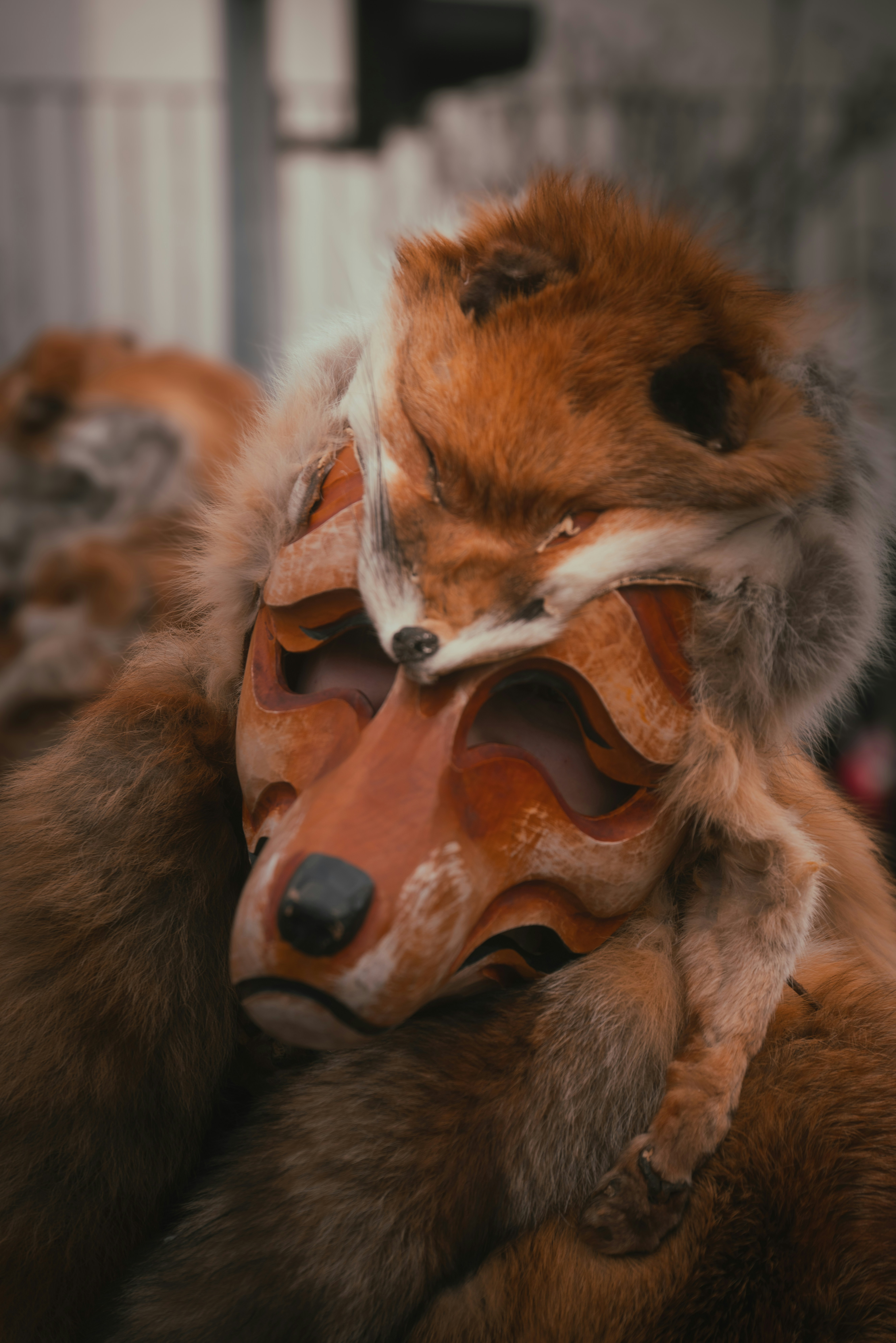 A shot of the German "Fasnet".