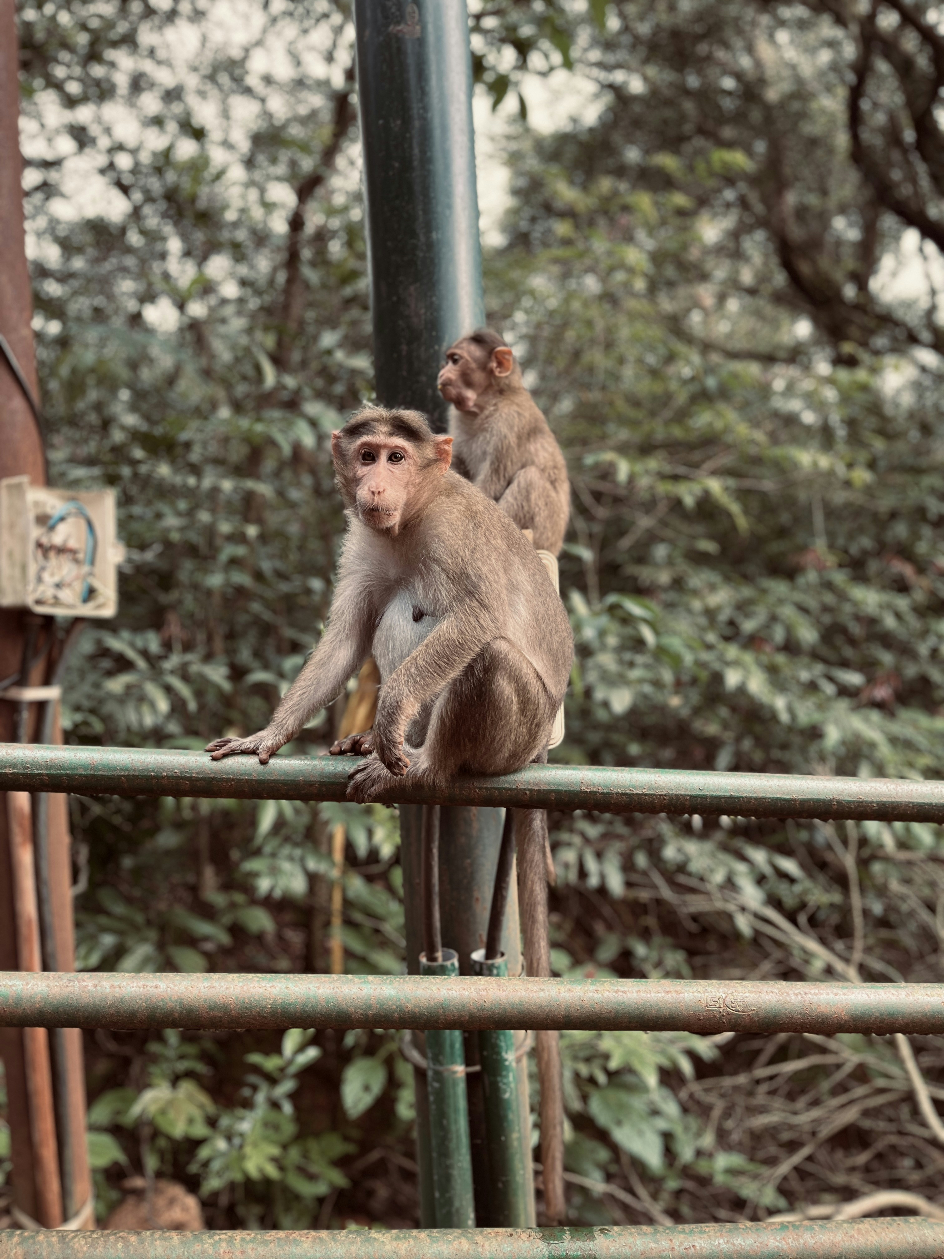 Photo by Abhinand Bijeesh with Apple iPhone 13