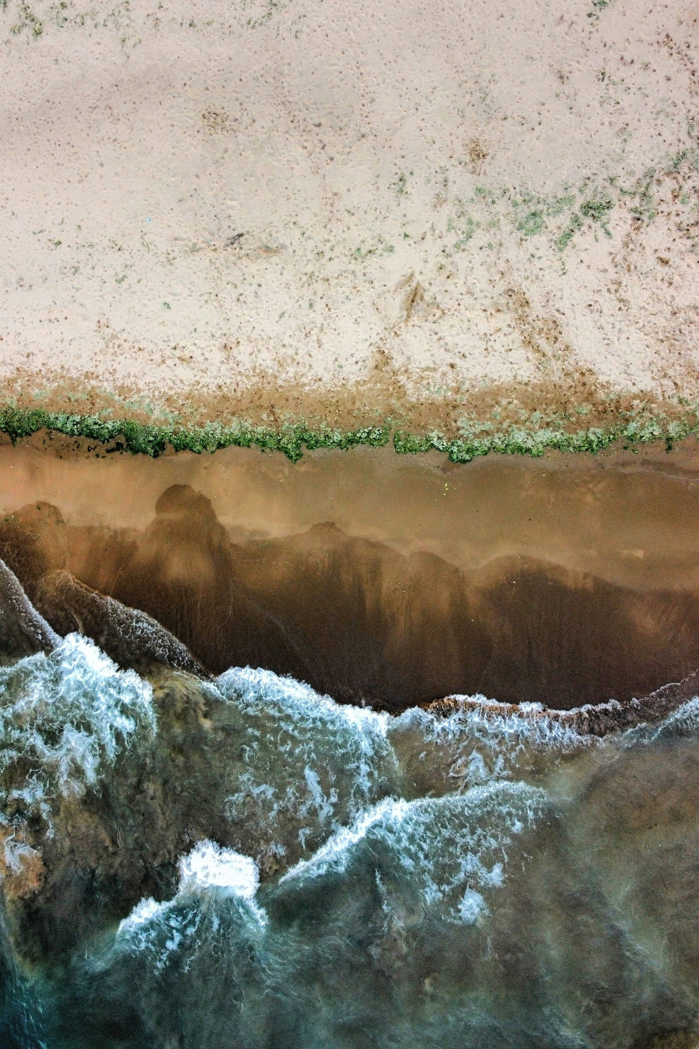 A drone photograph of a moss-green shoreline where algae lines meet tan sand and foamy turquoise waves.