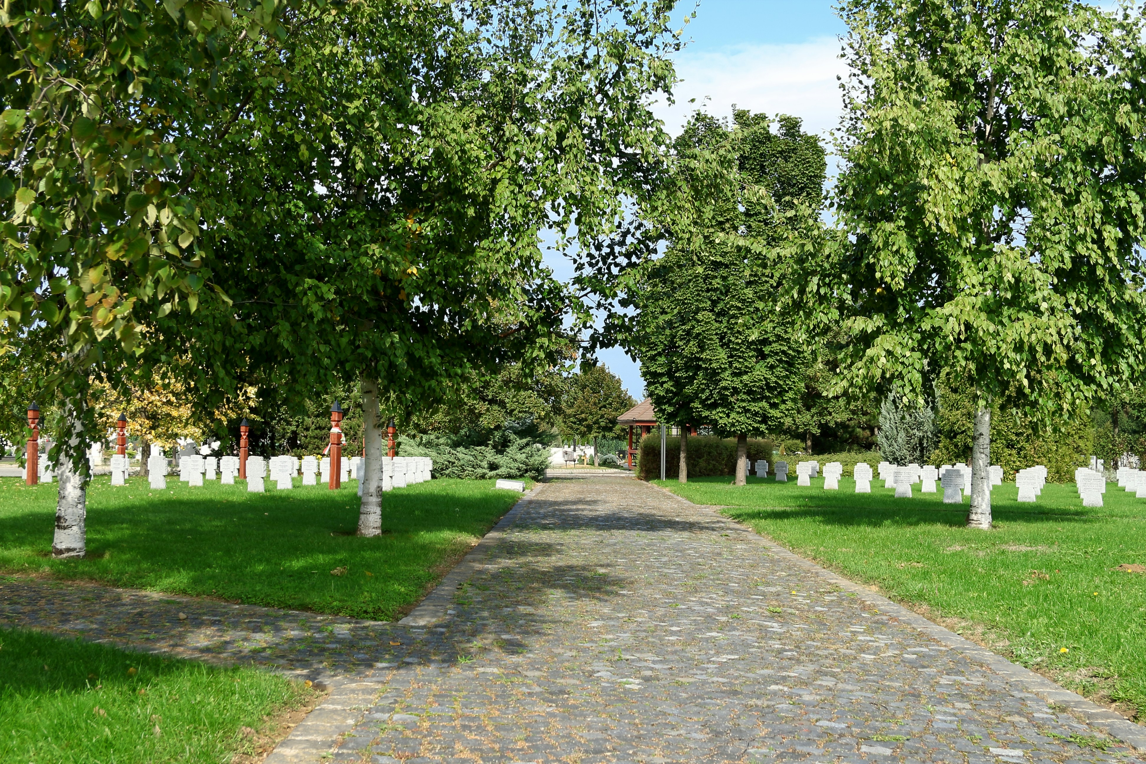 A path through a cemetery lined with trees photo – Free Cemetery Image ...