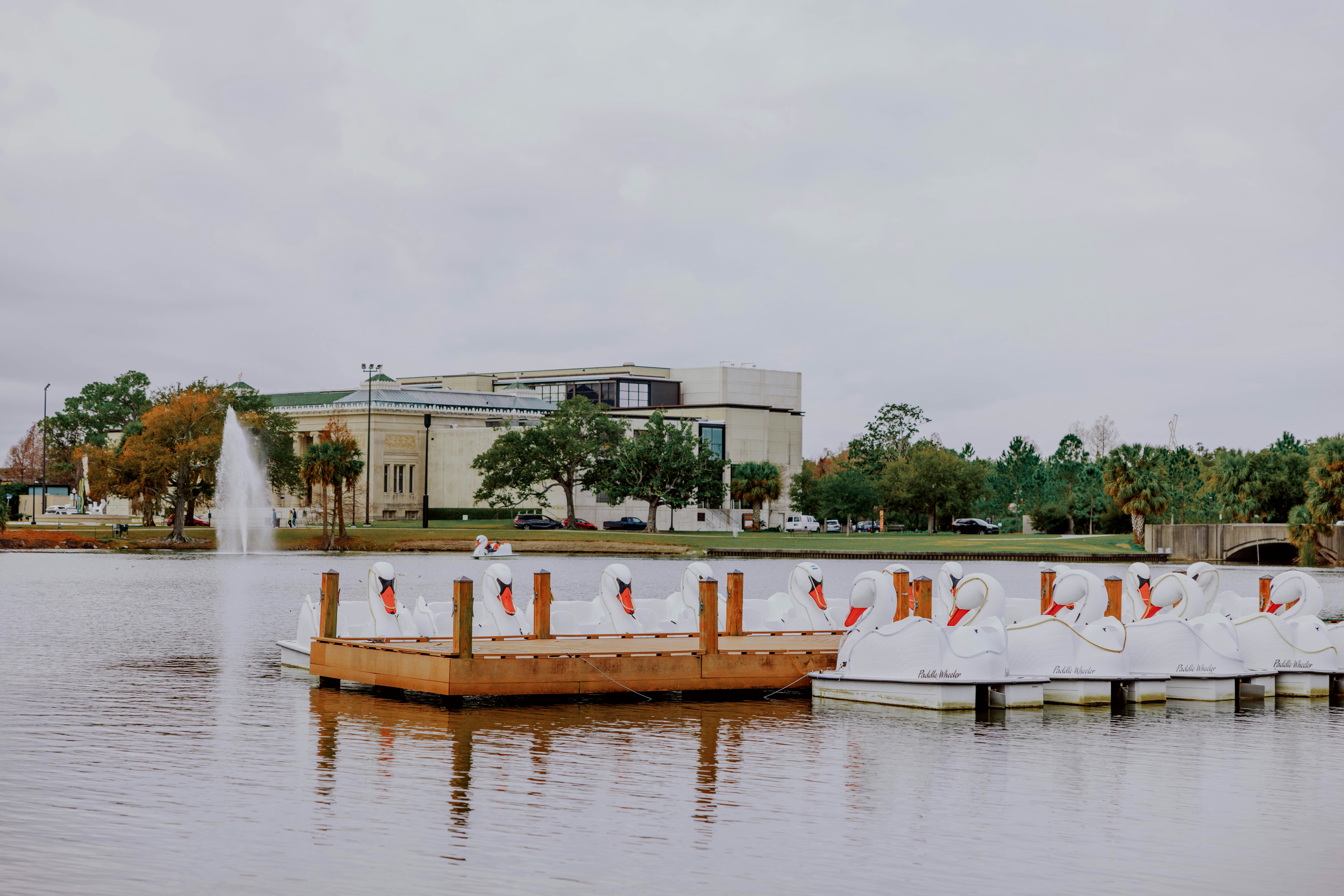 Photo by Sunira Moses with Canon EOS R5