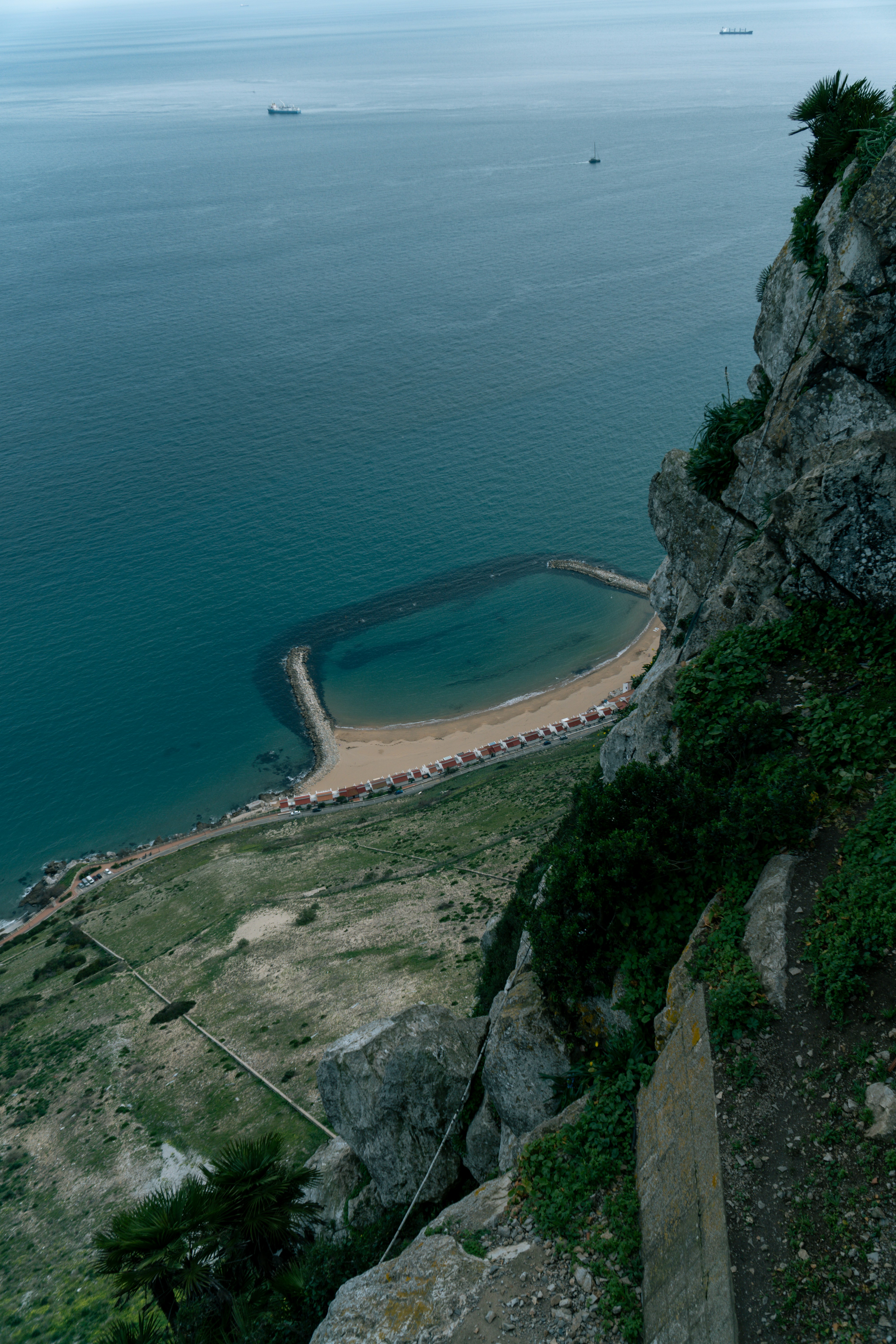 Crescent Harbor Vista from a Cliff's Edge