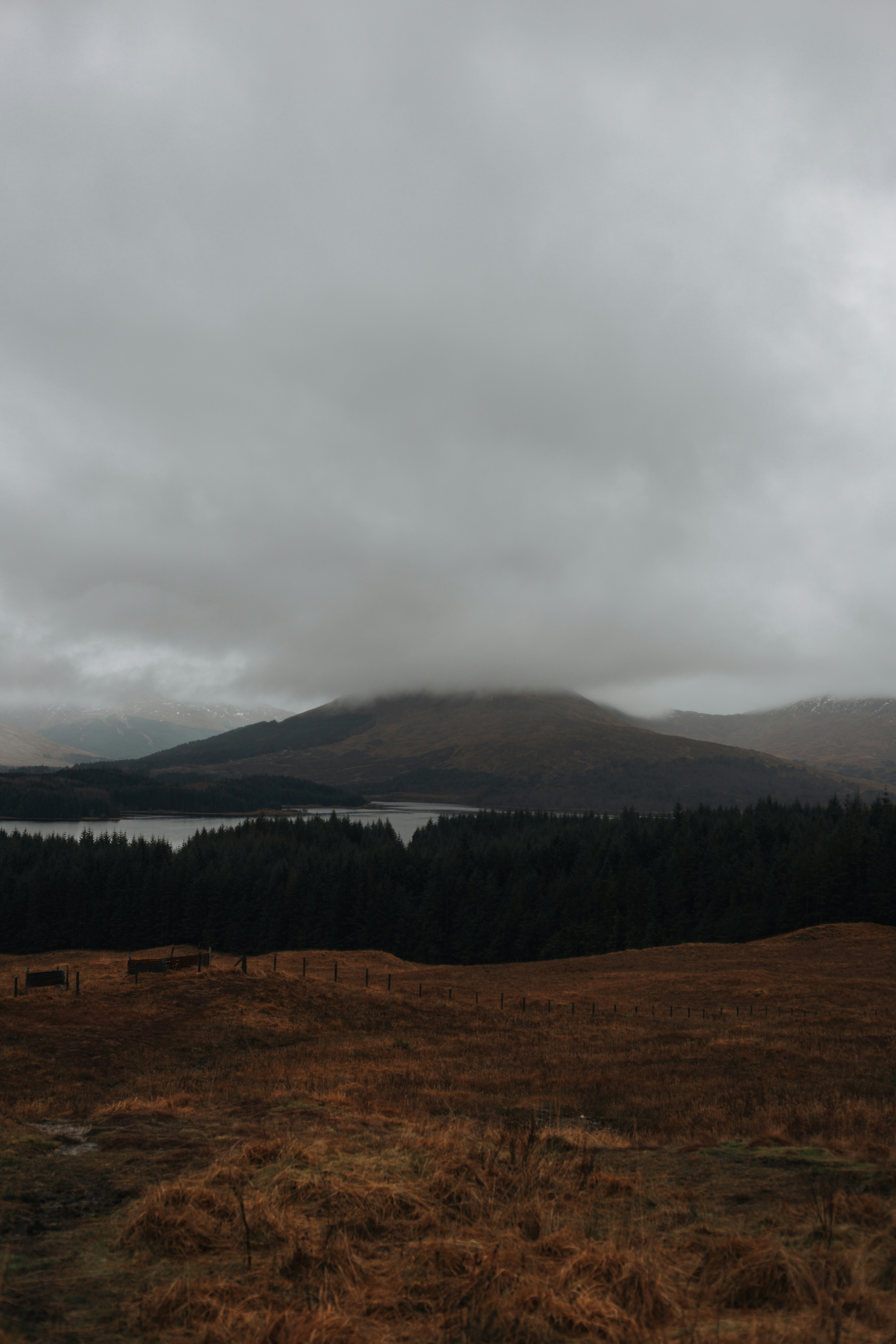 A grassy field with a lake and mountains in the background photo – Free ...