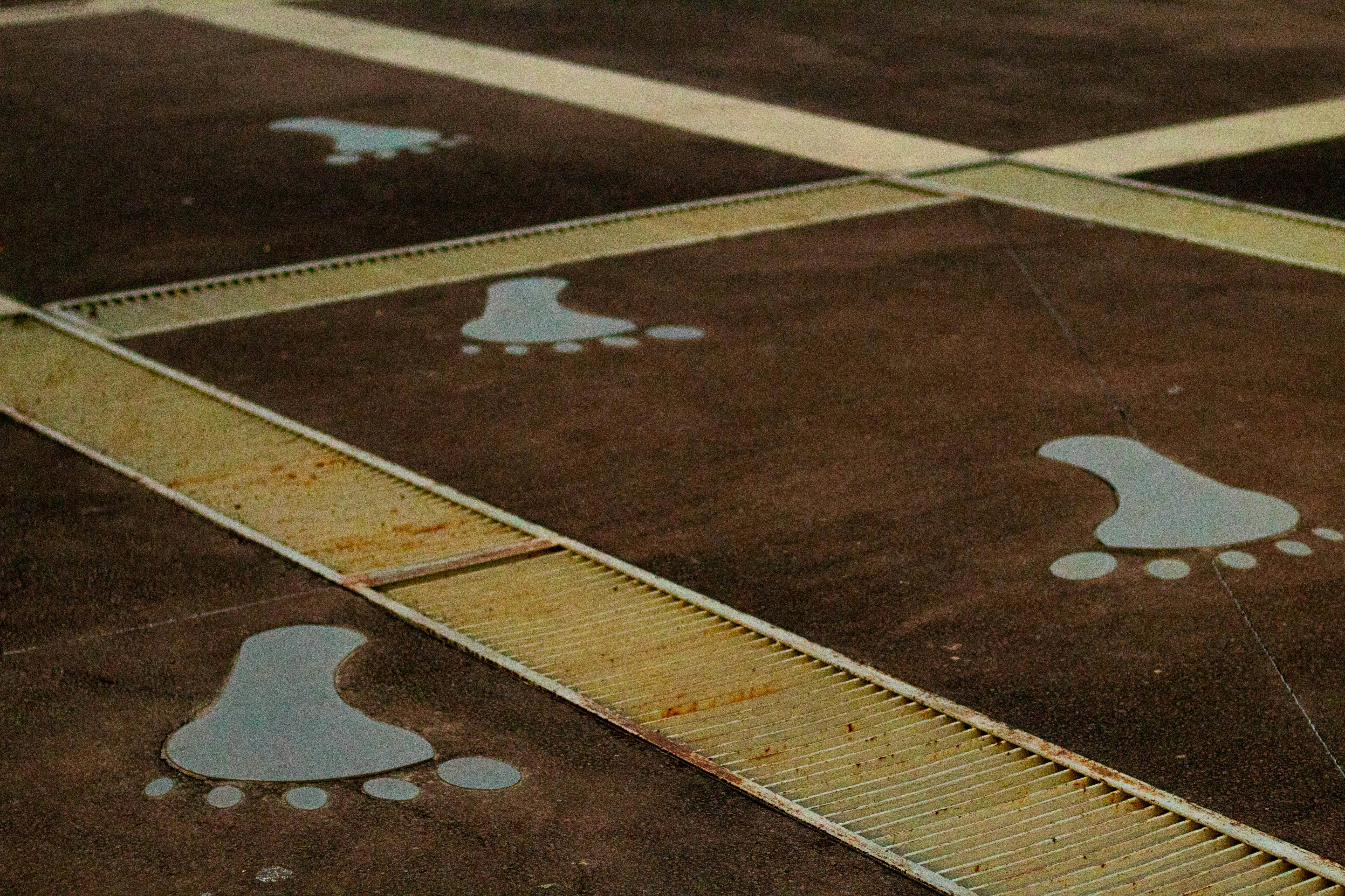 Footsteps Across a Quiet Corridor of Tiles