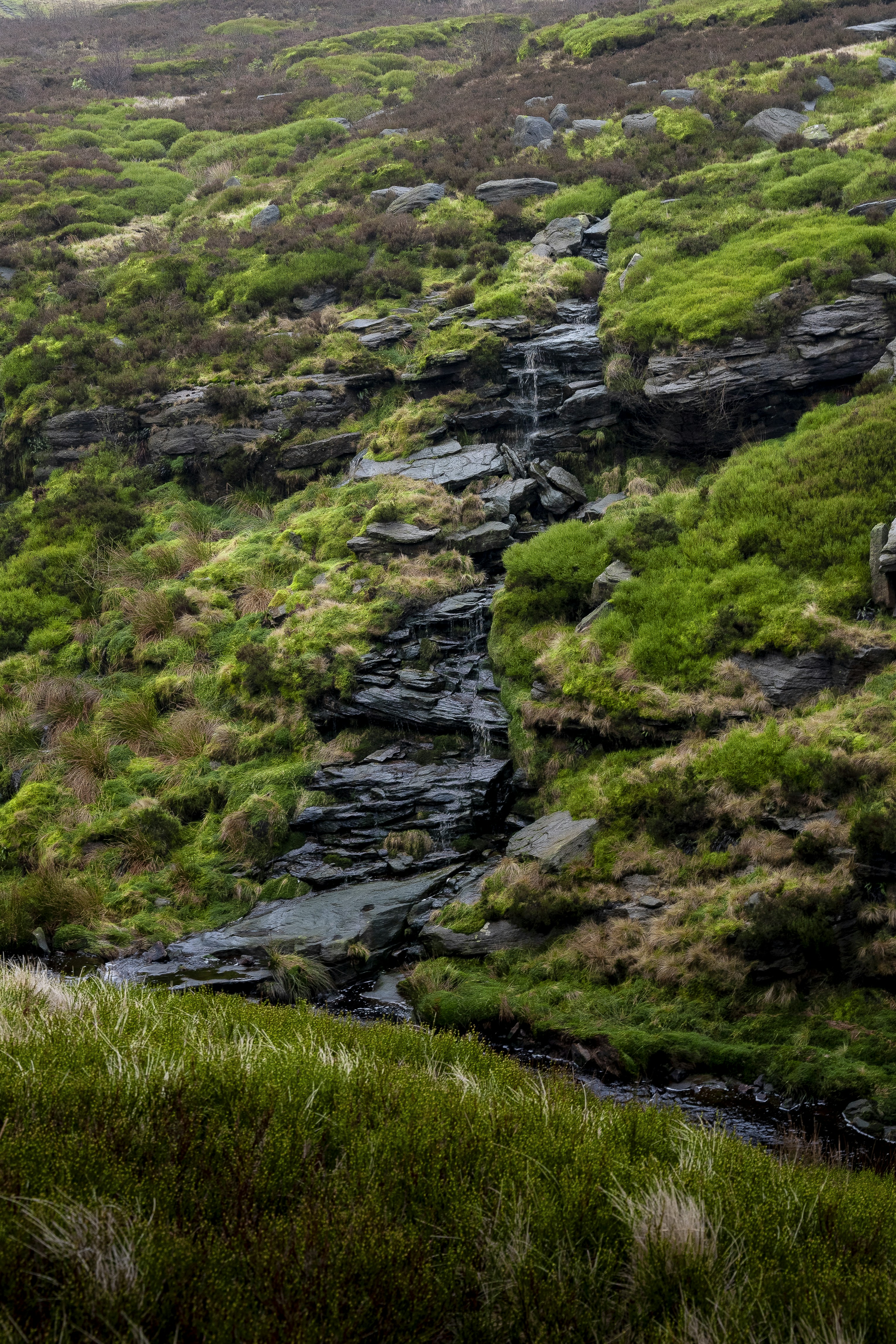 A stream running through a lush green hillside photo – Free Oldham ...