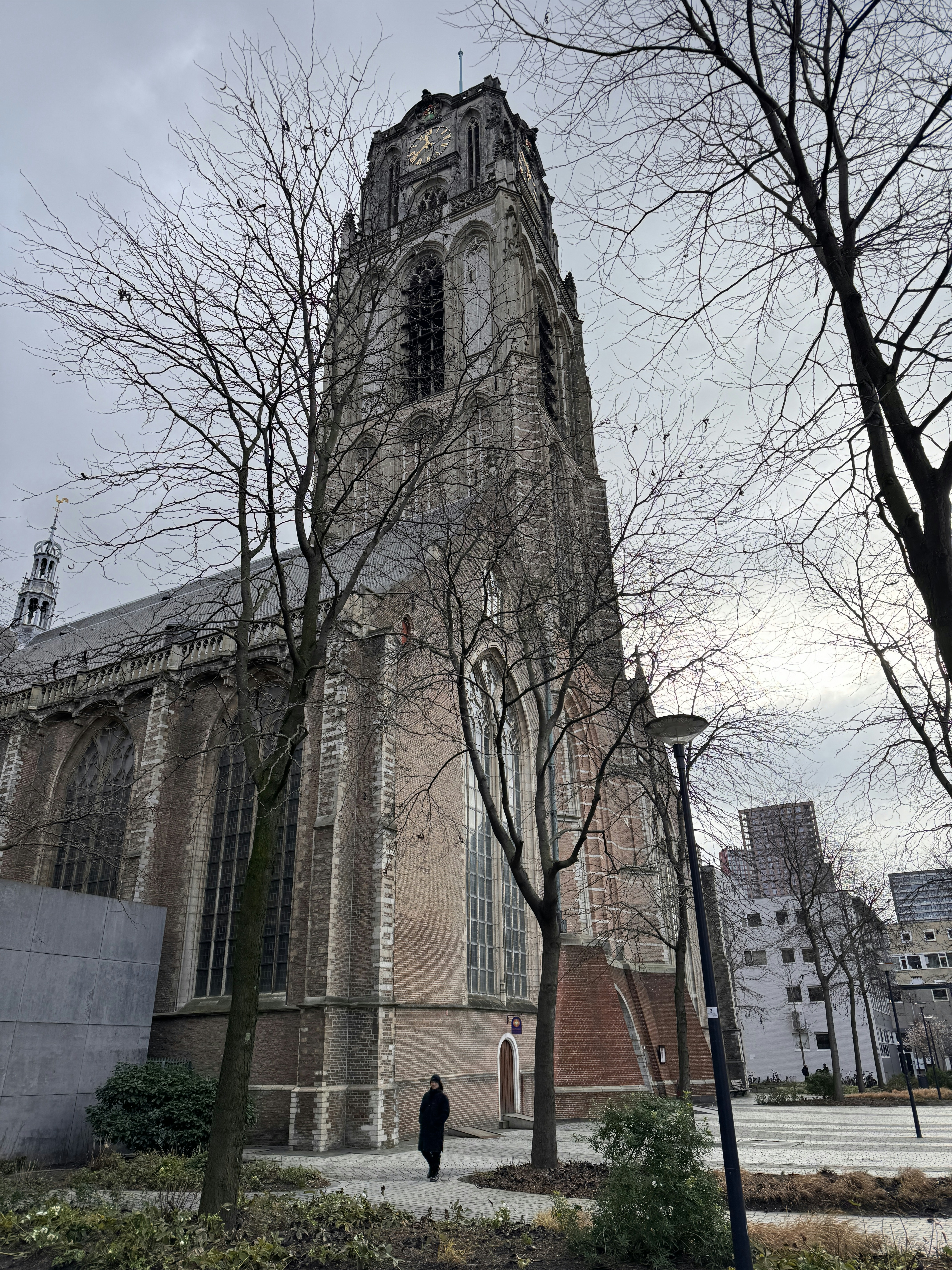 Winter's Embrace: The Gothic Bell Tower Reaching Through Bare Branches