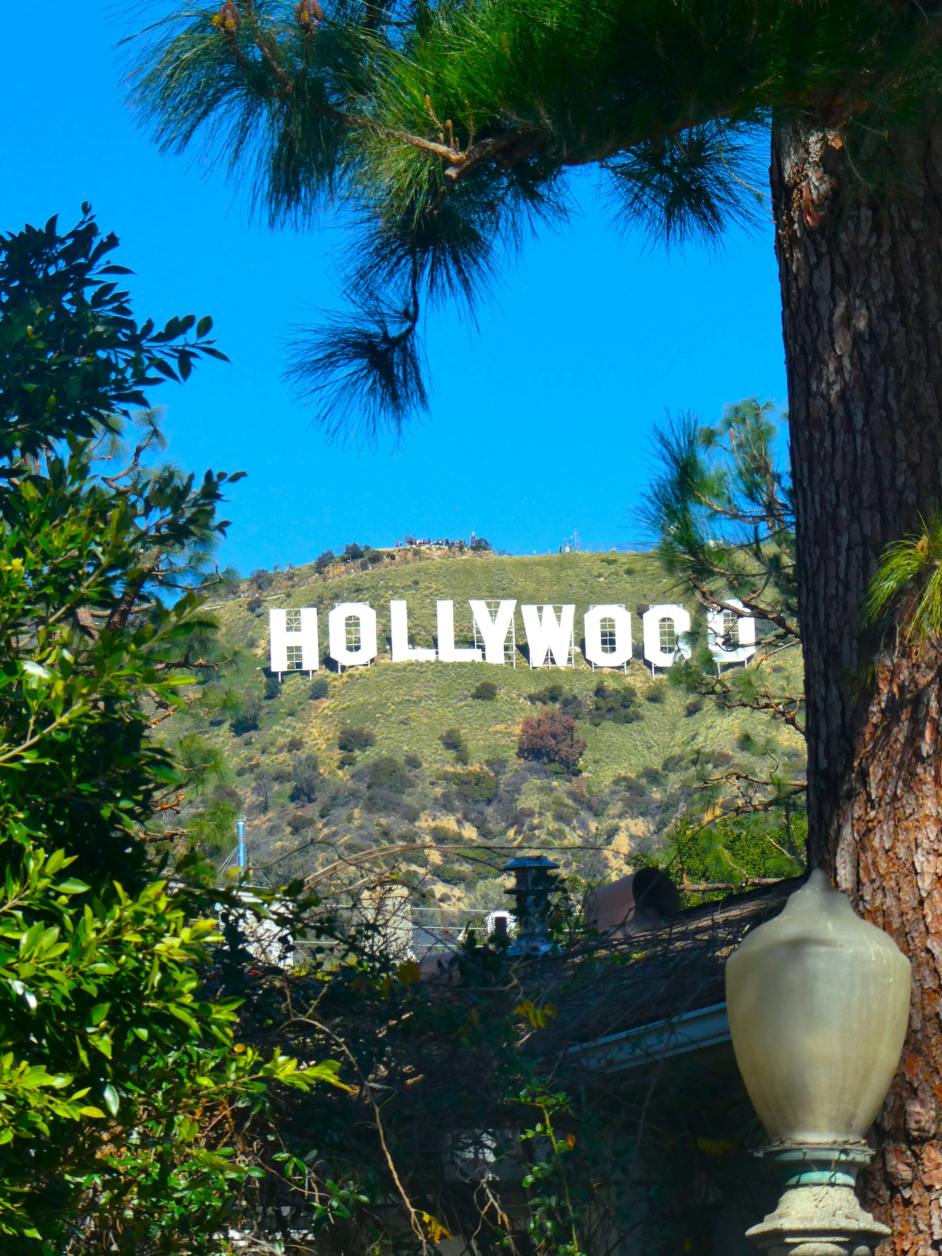 Hollywood Sign perched on a hillside, framed by lush greenery and a vintage lamp post in the foreground.