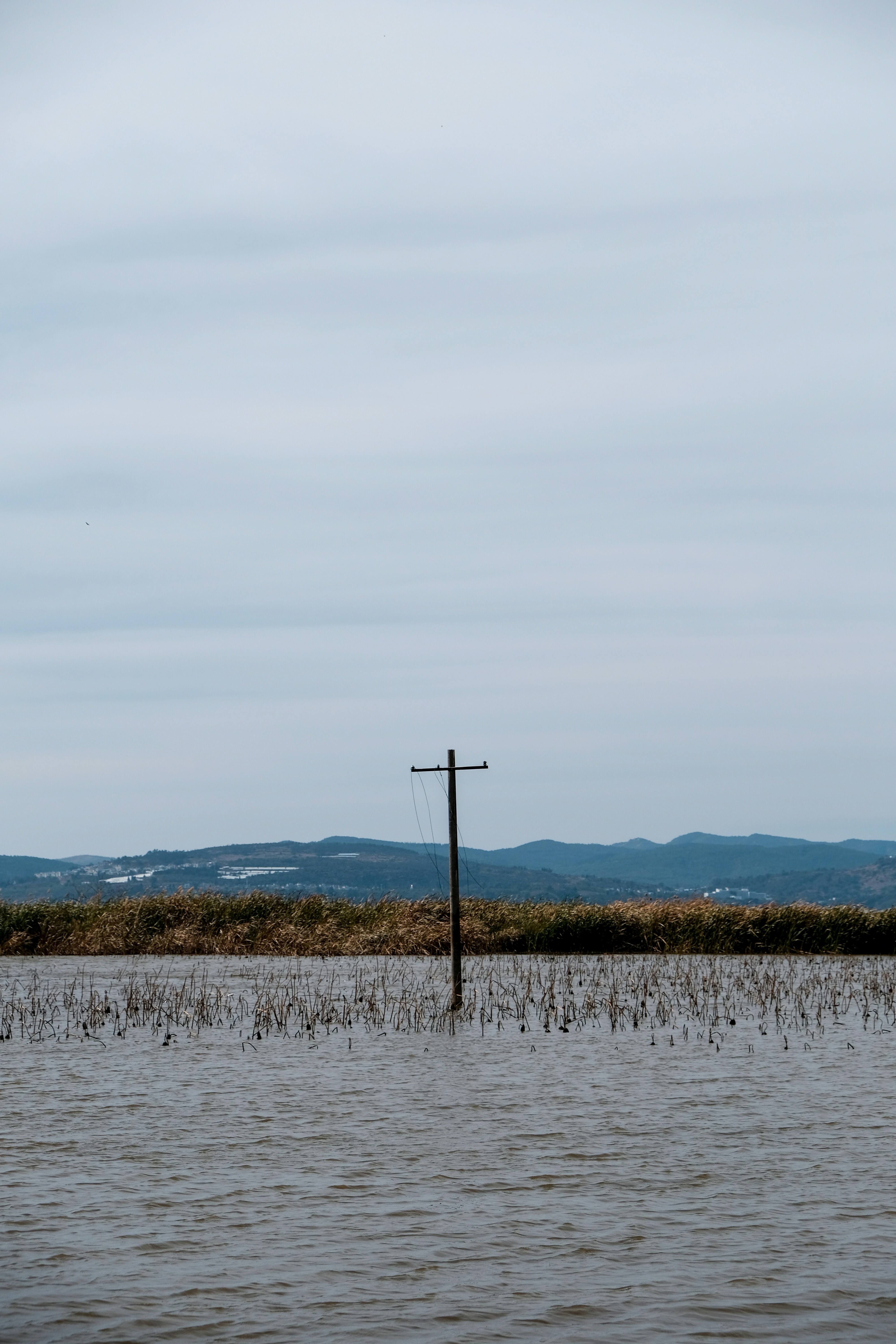 Lonely Power Line in a Vast Wetland