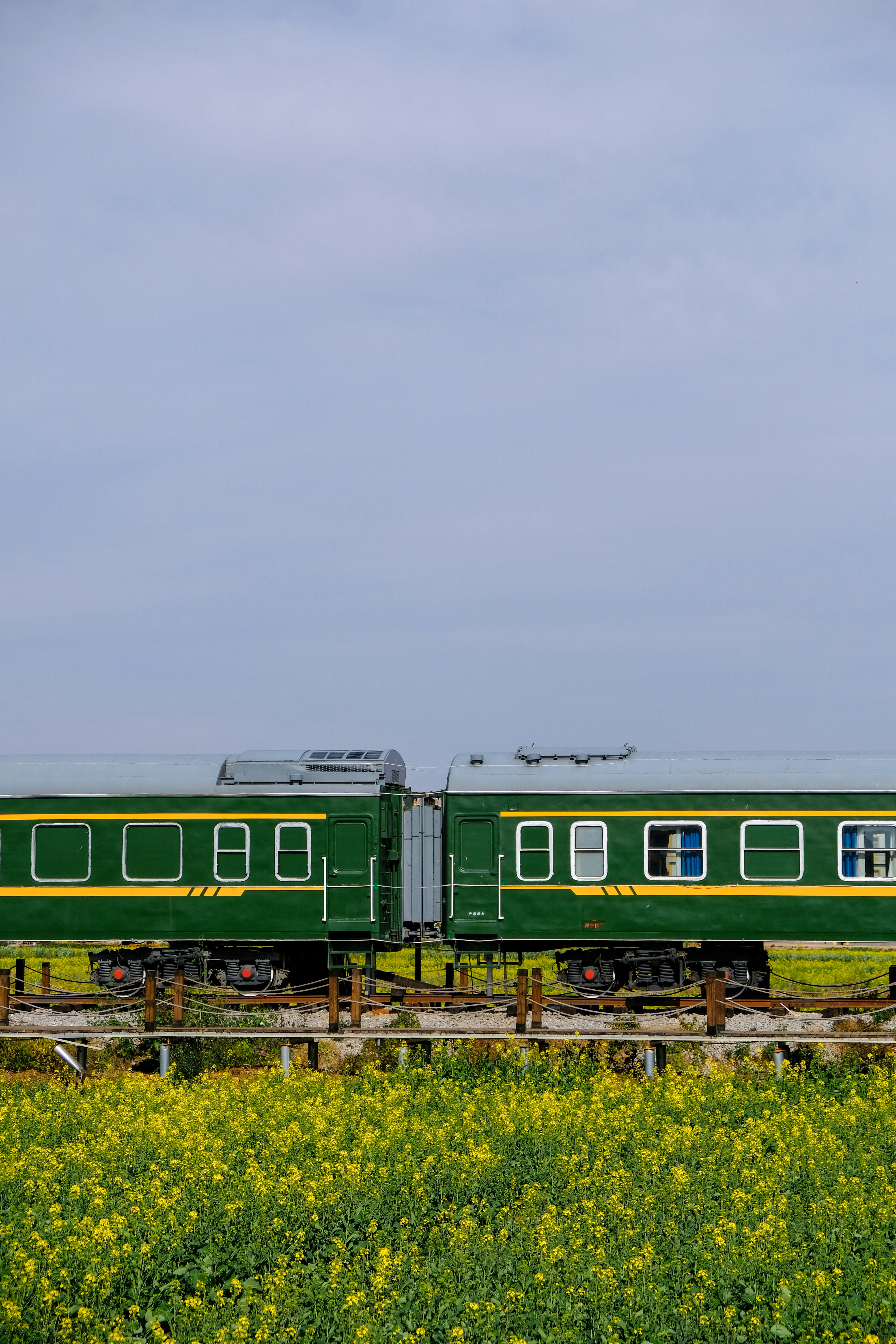 A green train traveling through a lush green field photo – Free 滇池 ...