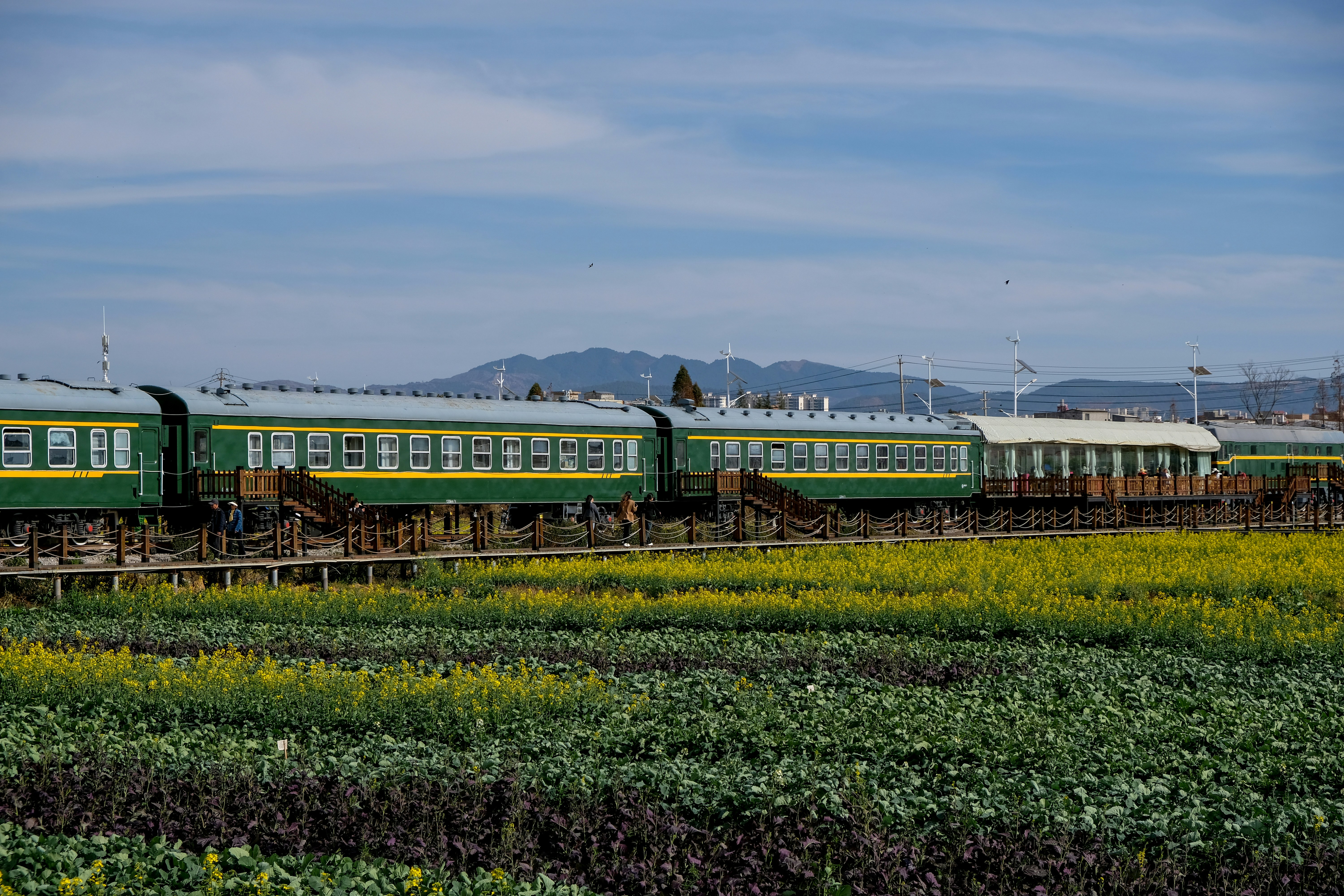 Pastoral Rails: A Line of Green Carriages Across a Patchwork Field