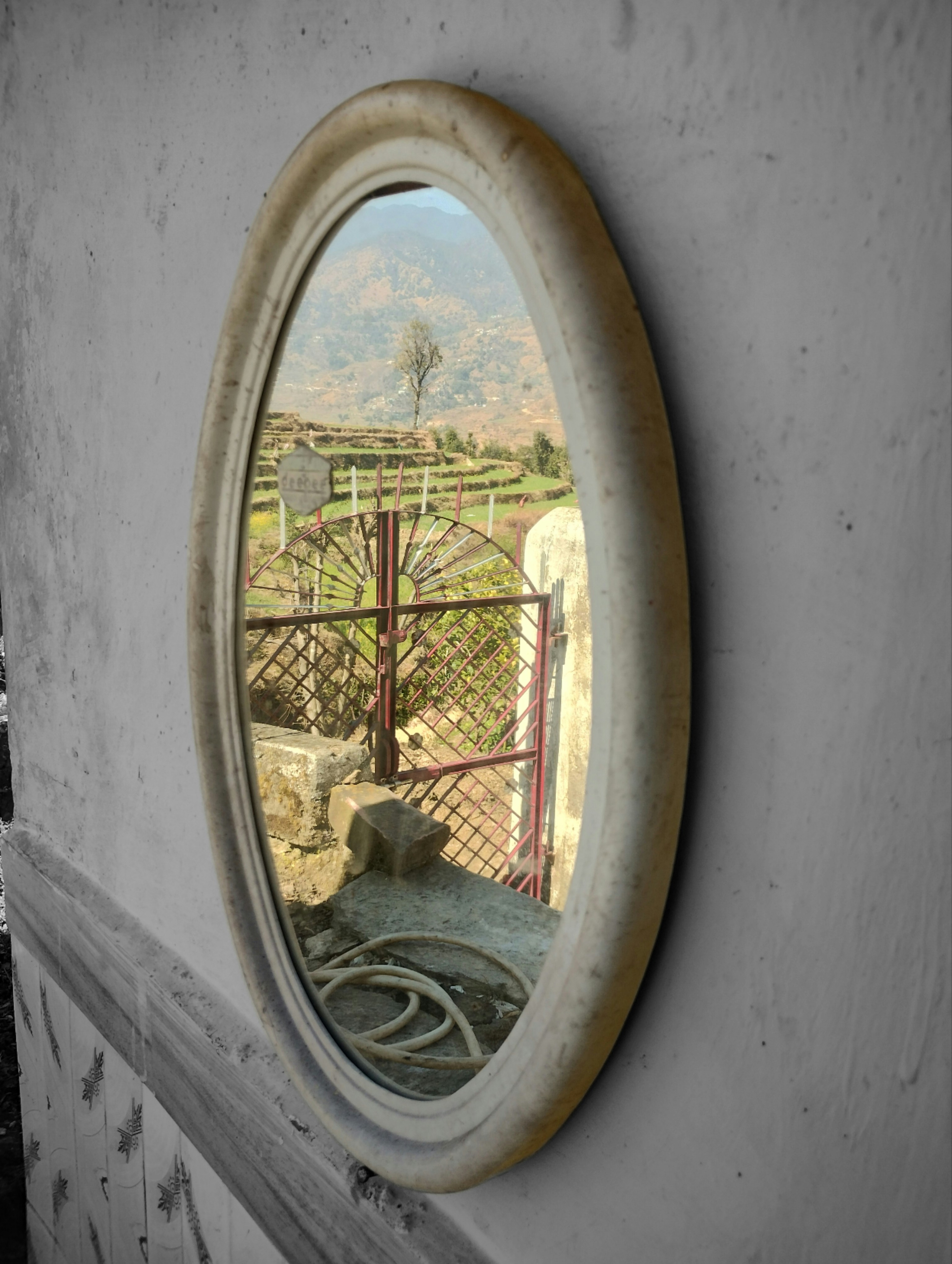 "Reflections of Nature's Majesty 🌳🏔️