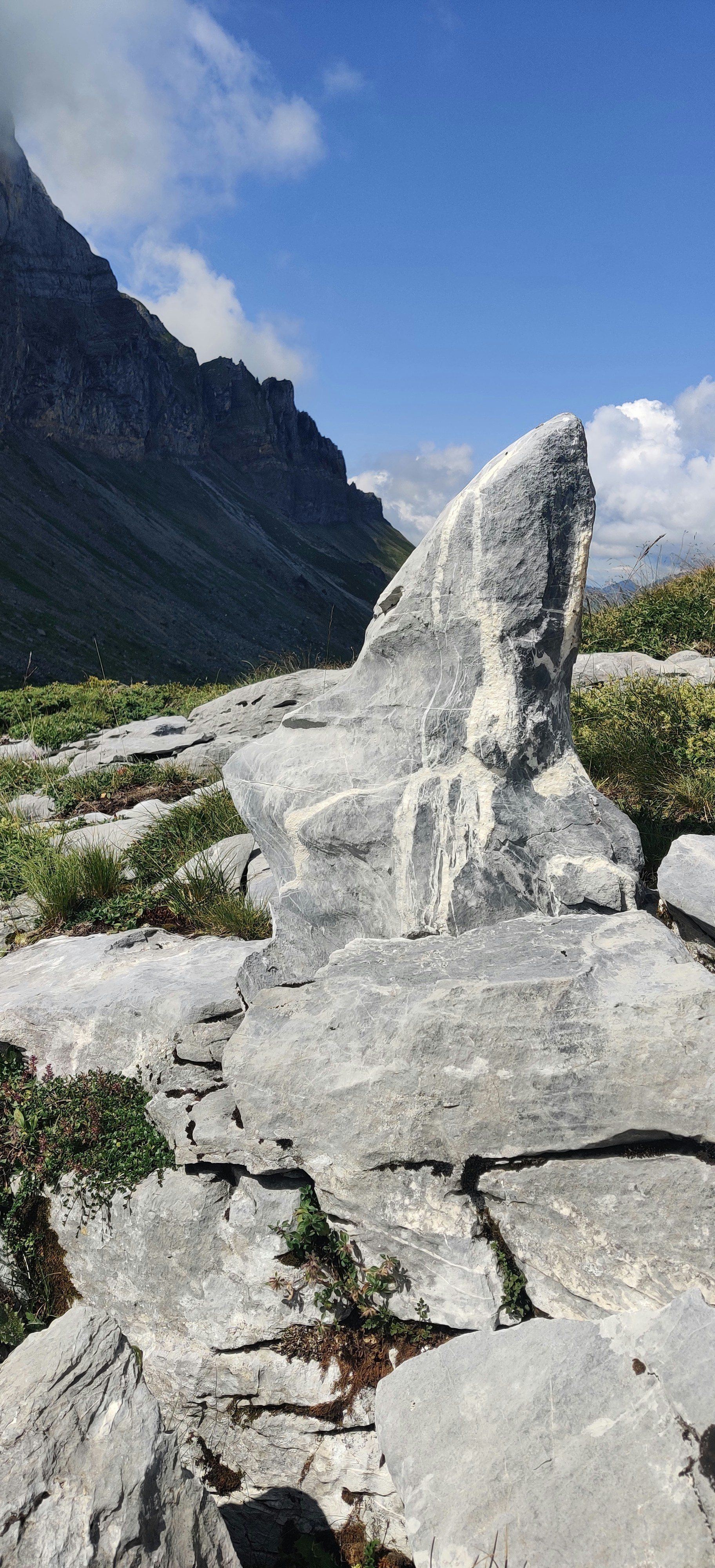 Photo by SYKS with OnePlus 7