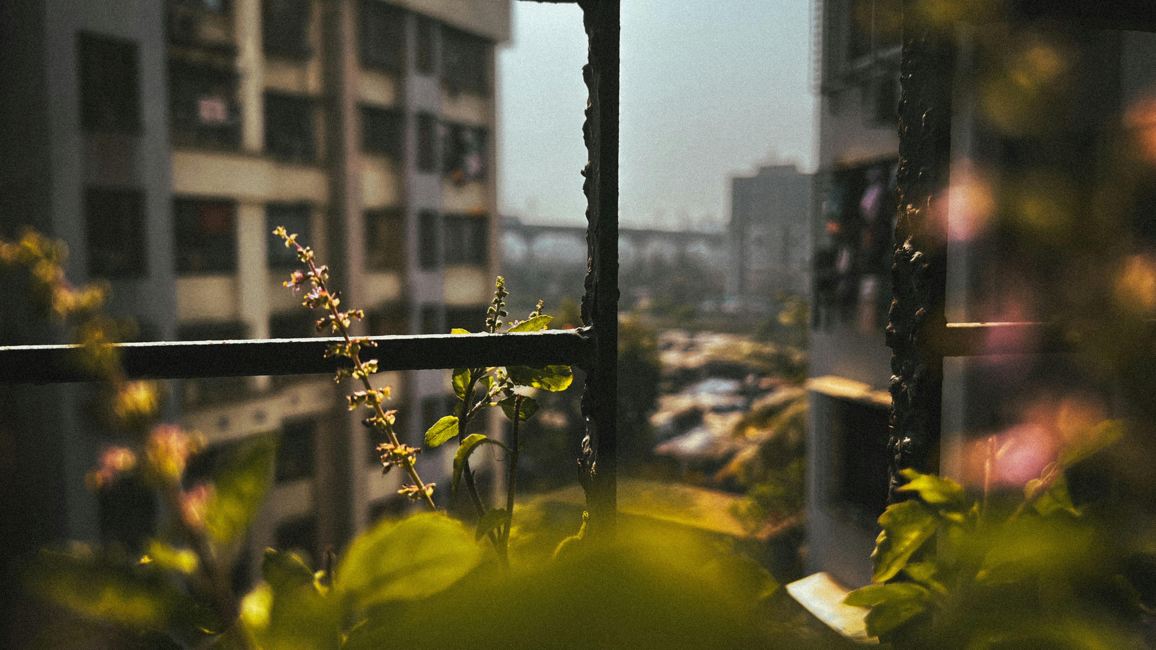 A view of a city through a window photo – Free Nature Image on Unsplash