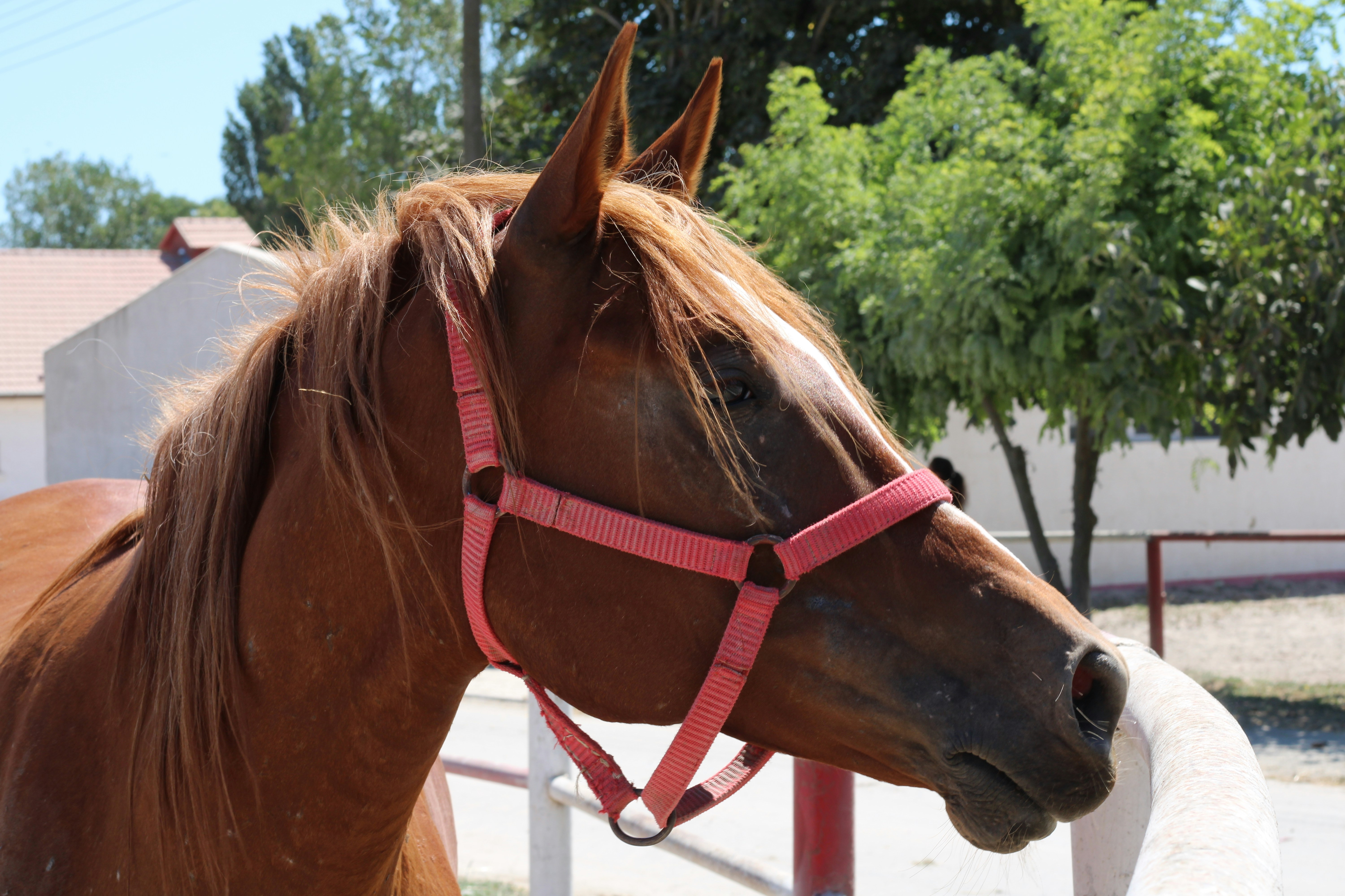 Photo by Theo Lonic with Canon EOS 2000D