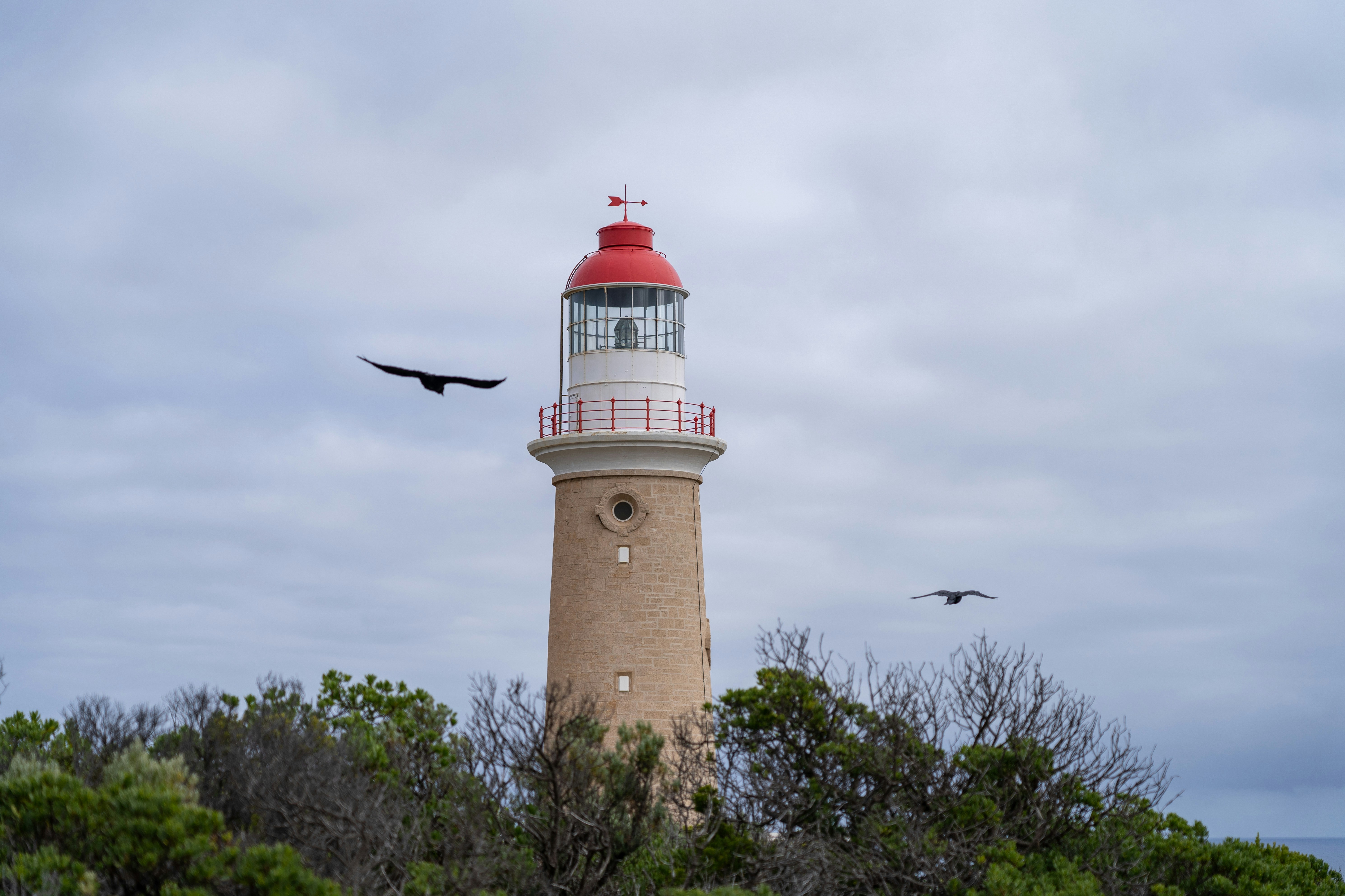 Photo by Haonan Zhang with Sony Alpha 7 III