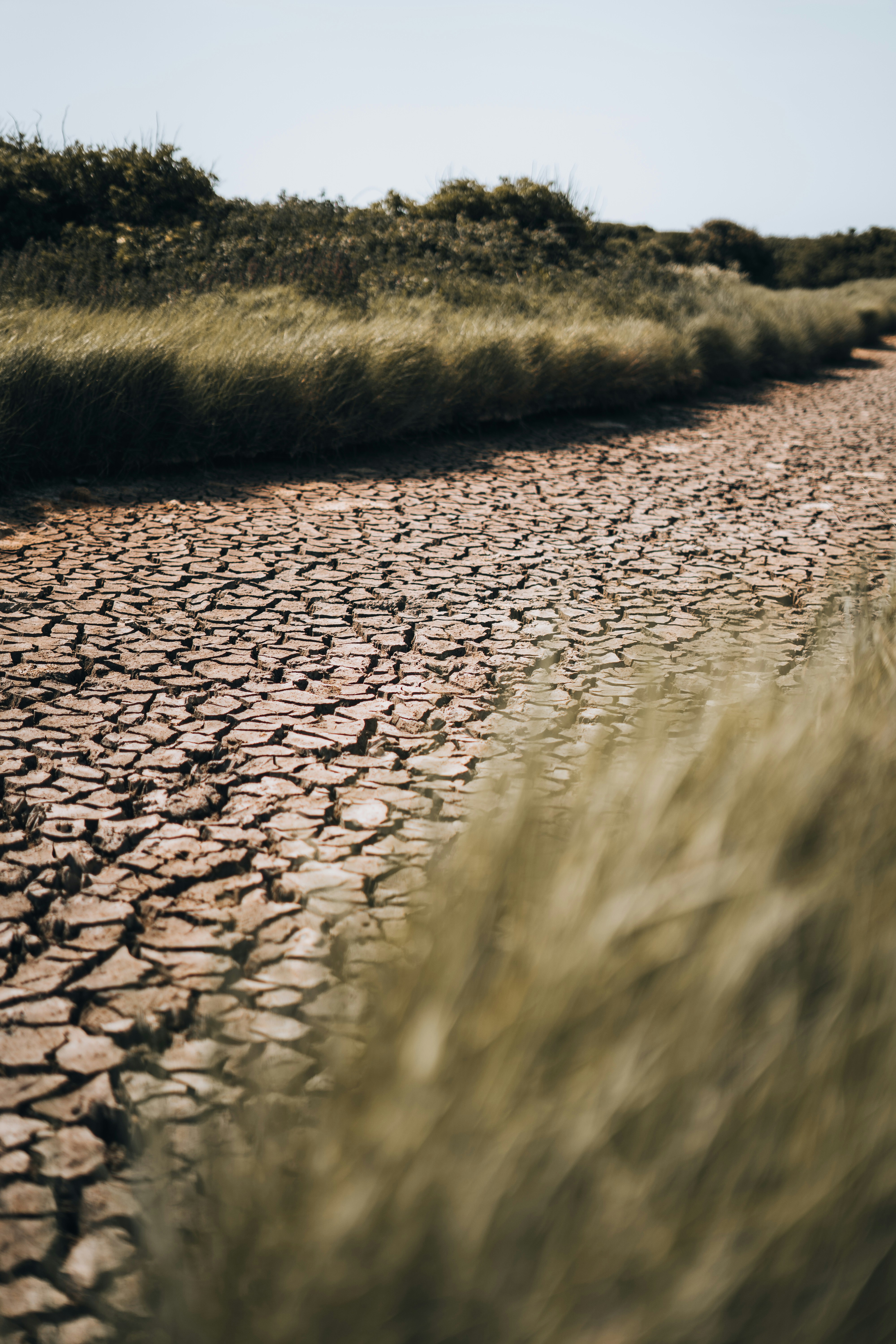 Cracked Earth Along a Dune Corridor