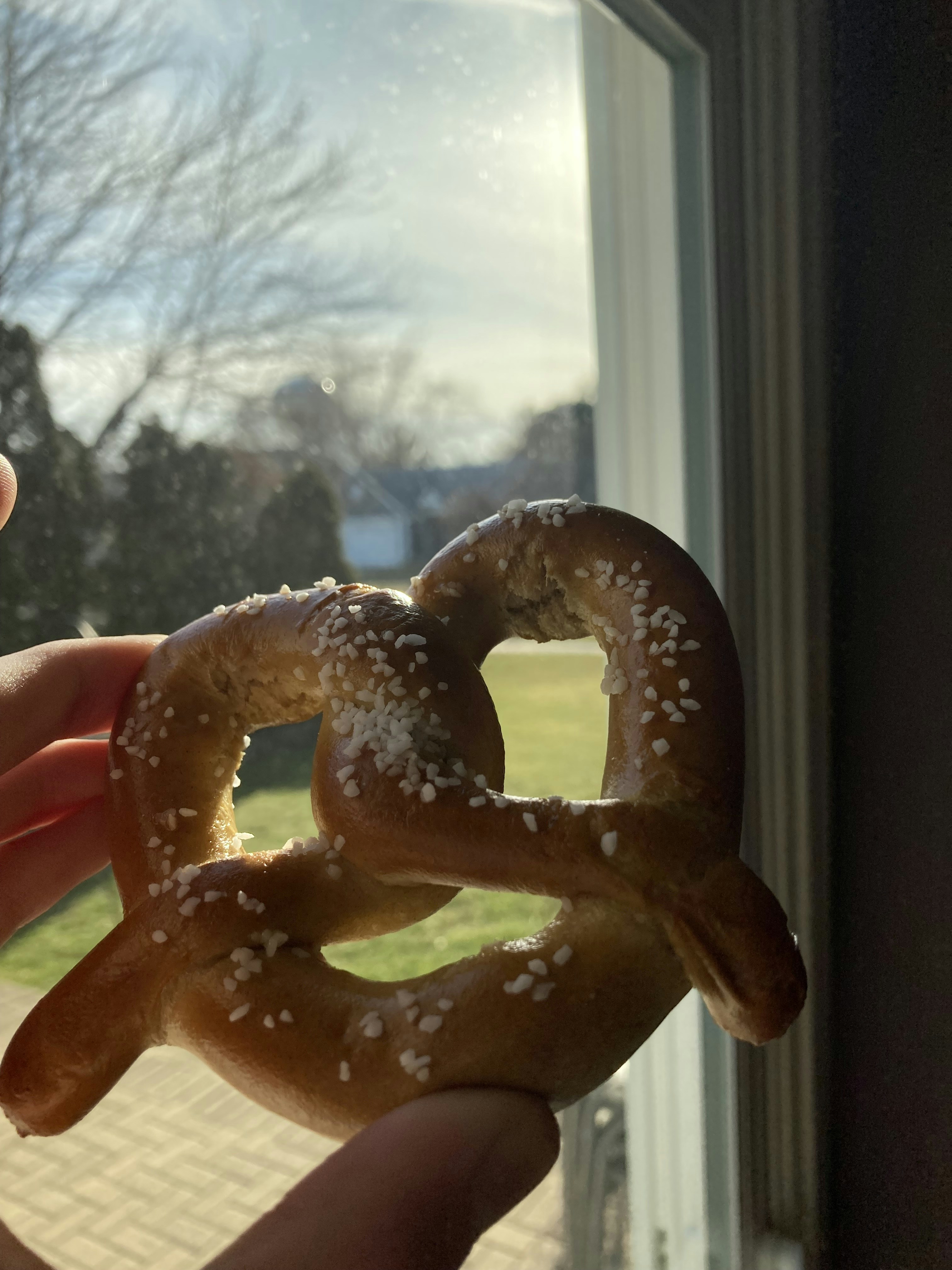 A person holding a pretzel in front of a window photo – Free Food Image ...