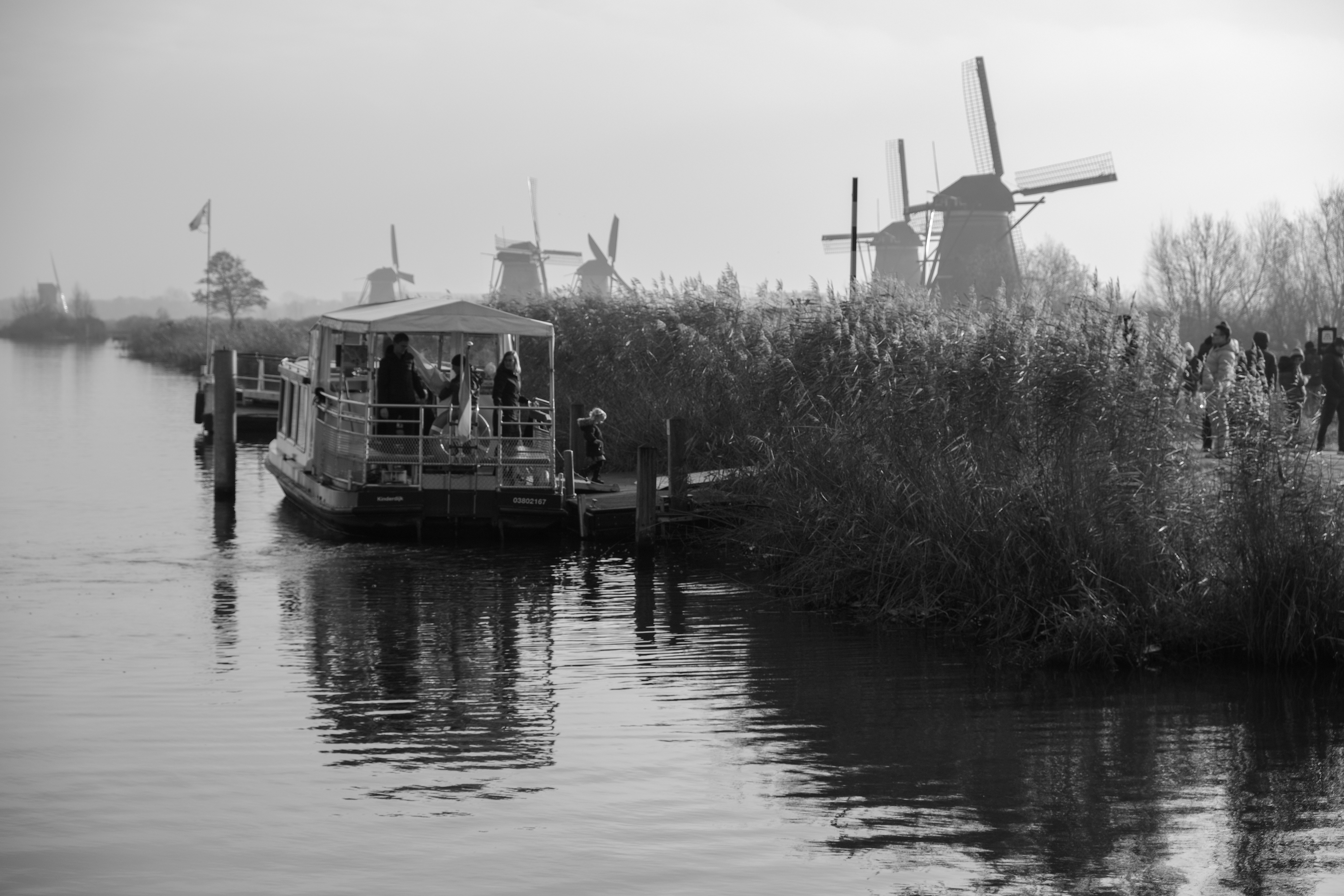 Grey Light Along the Dutch Canal: Boat Glides Past Windmill Row