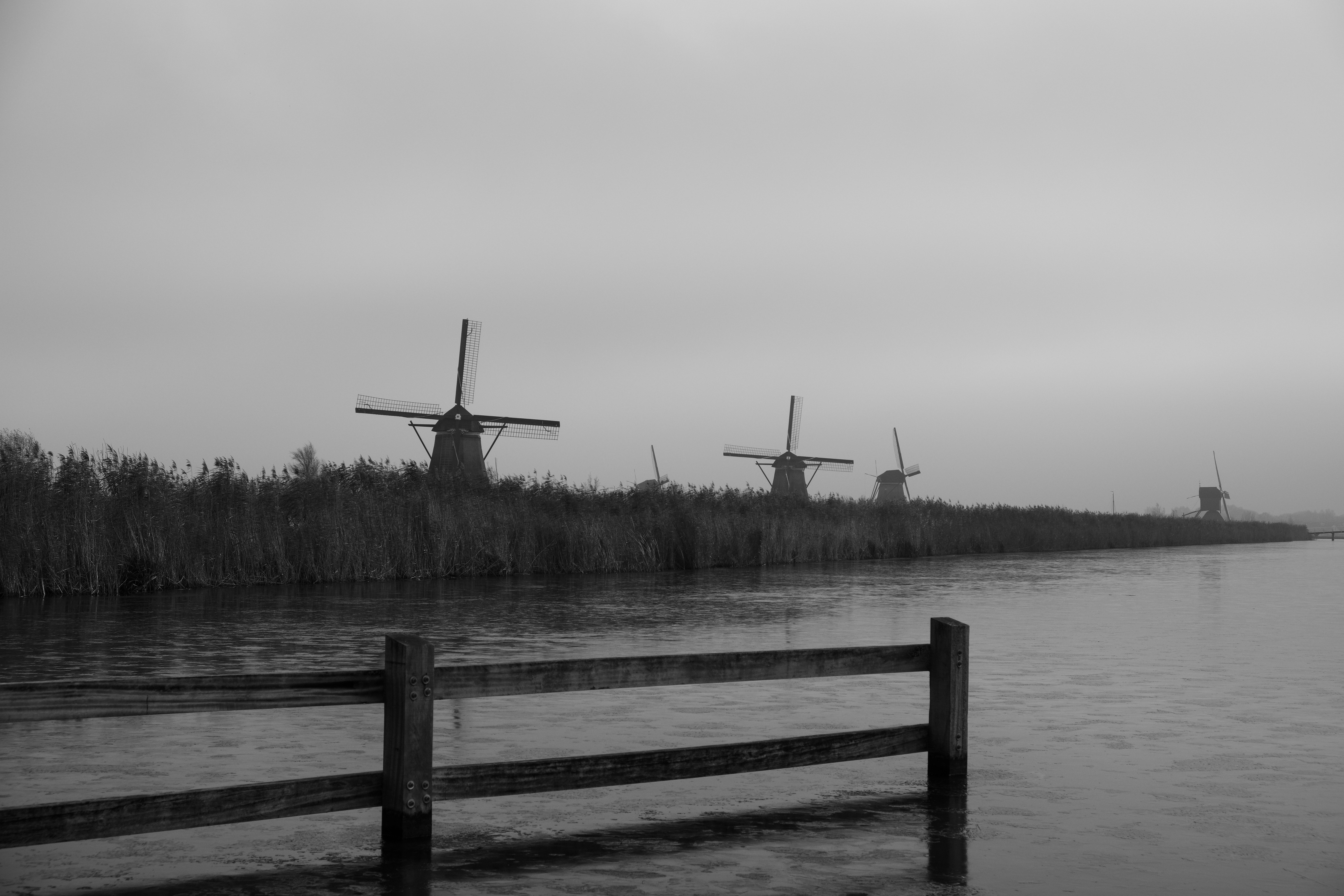Mist on the Dike: Windmills Receding into a Quiet Horizon