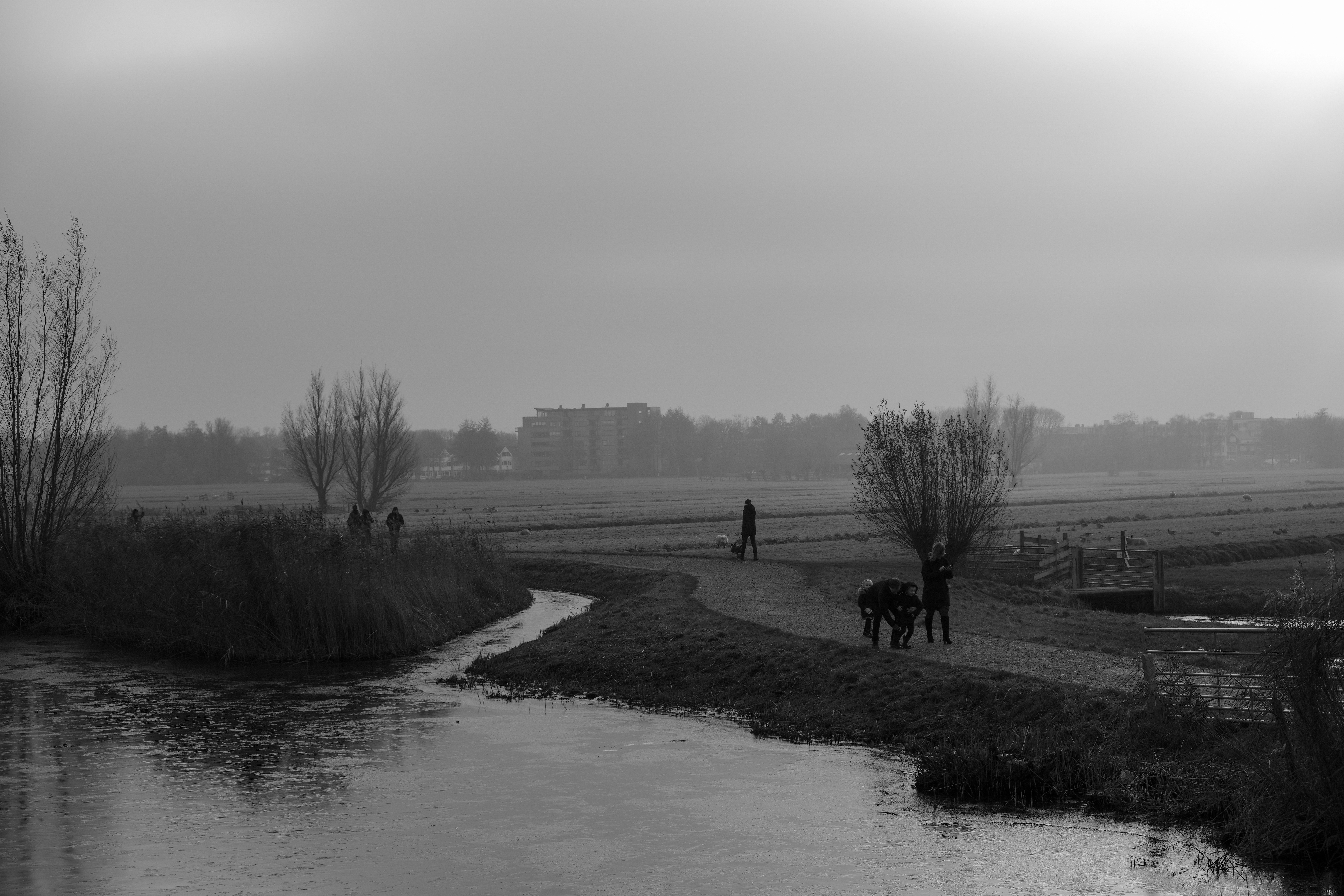 Quiet Bend: A Lone Figure Treading the Meandering Riverbank