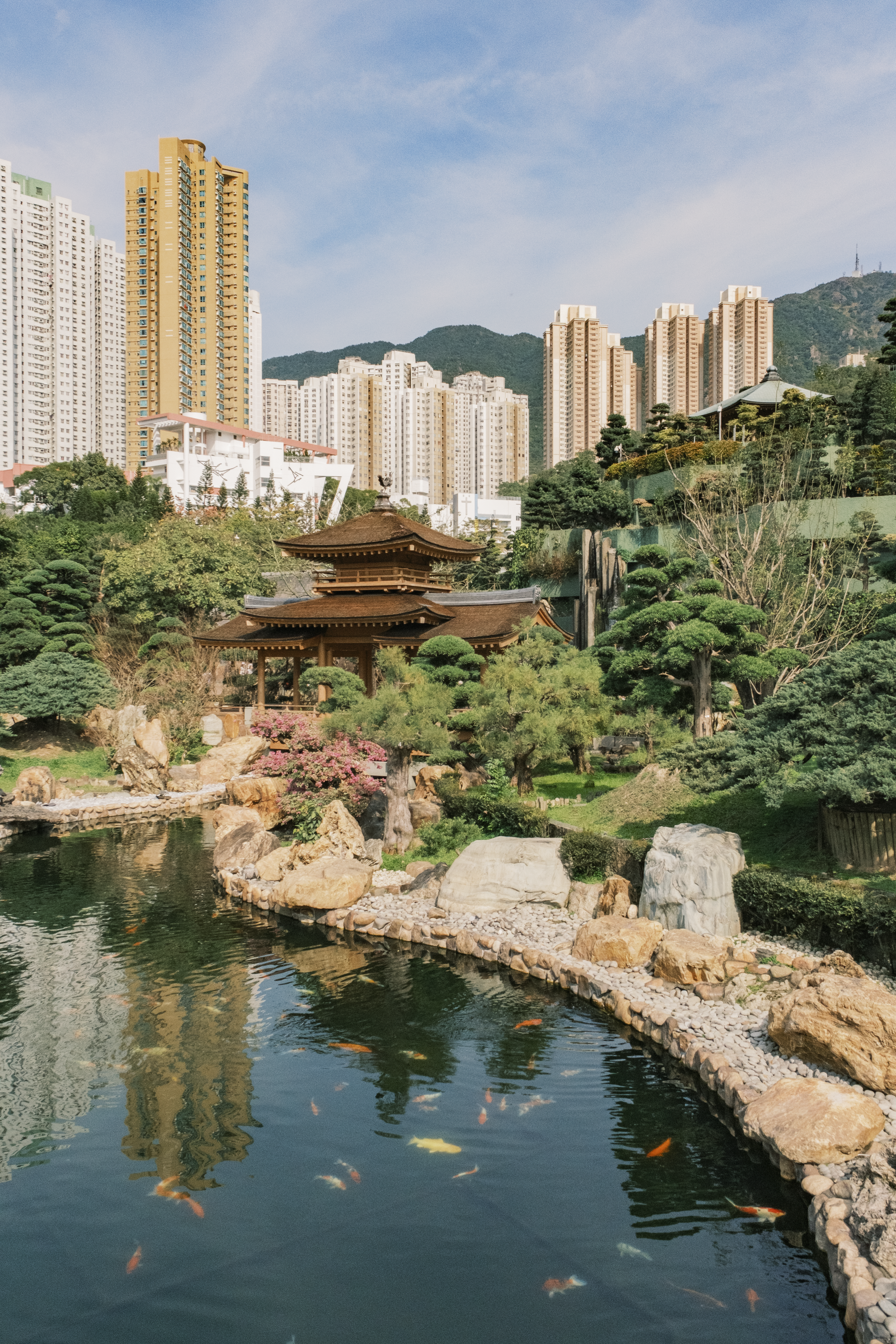 A pond in a city park surrounded by tall buildings photo – Free Nature ...