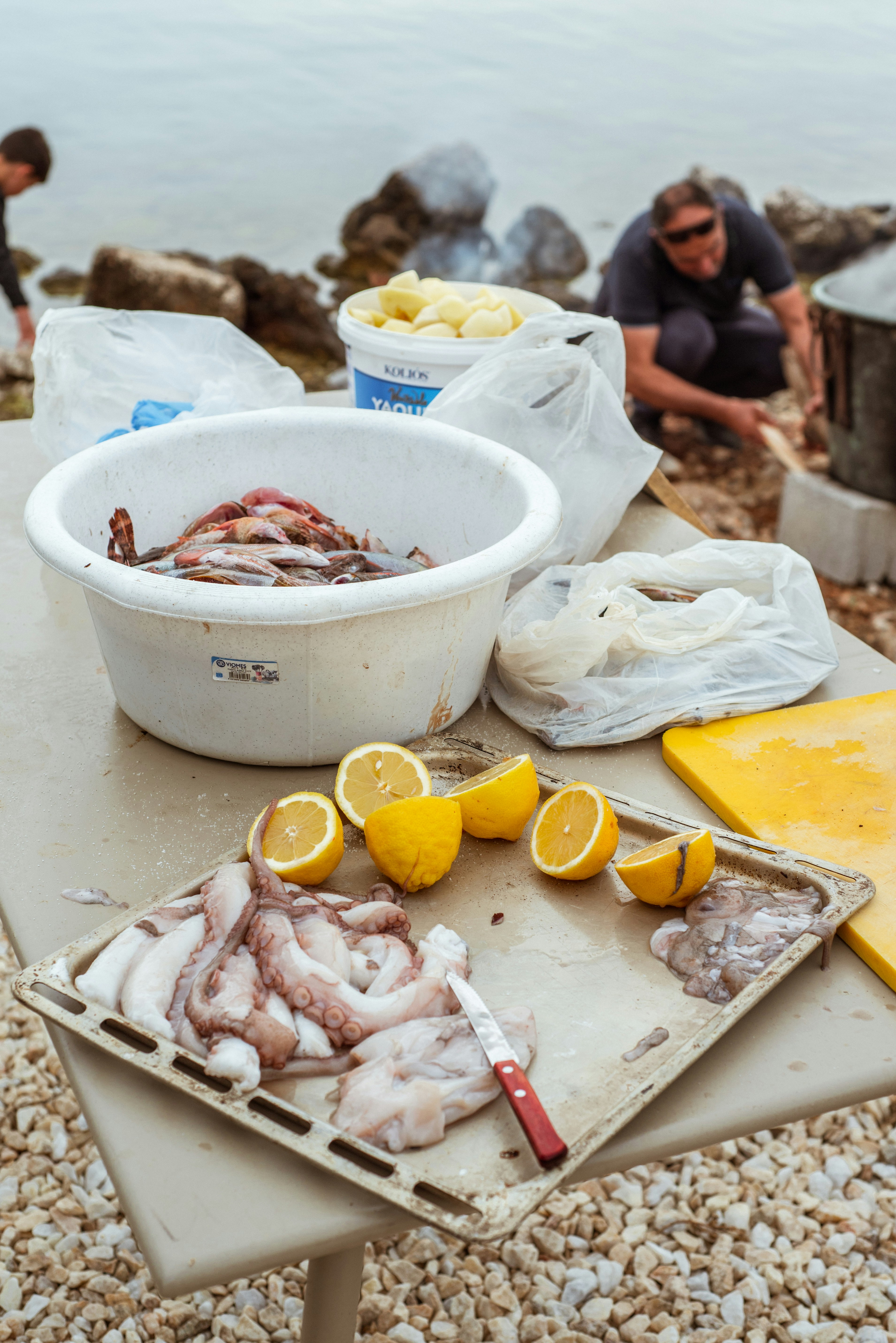 Lemon-Crowned Catch on a Wind-Worn Seaside Table