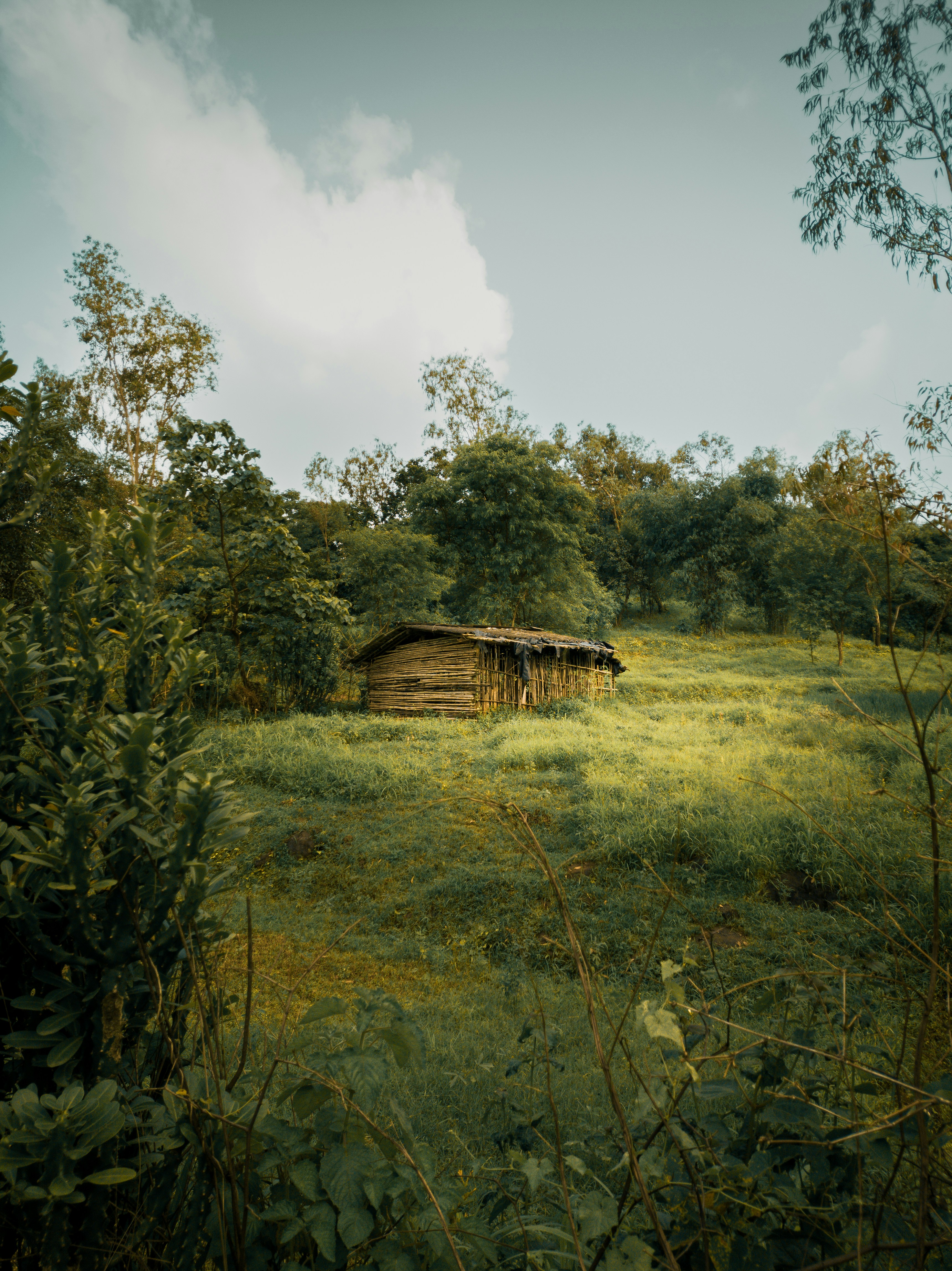 Home is where the heart is, even if it's just a shack.
